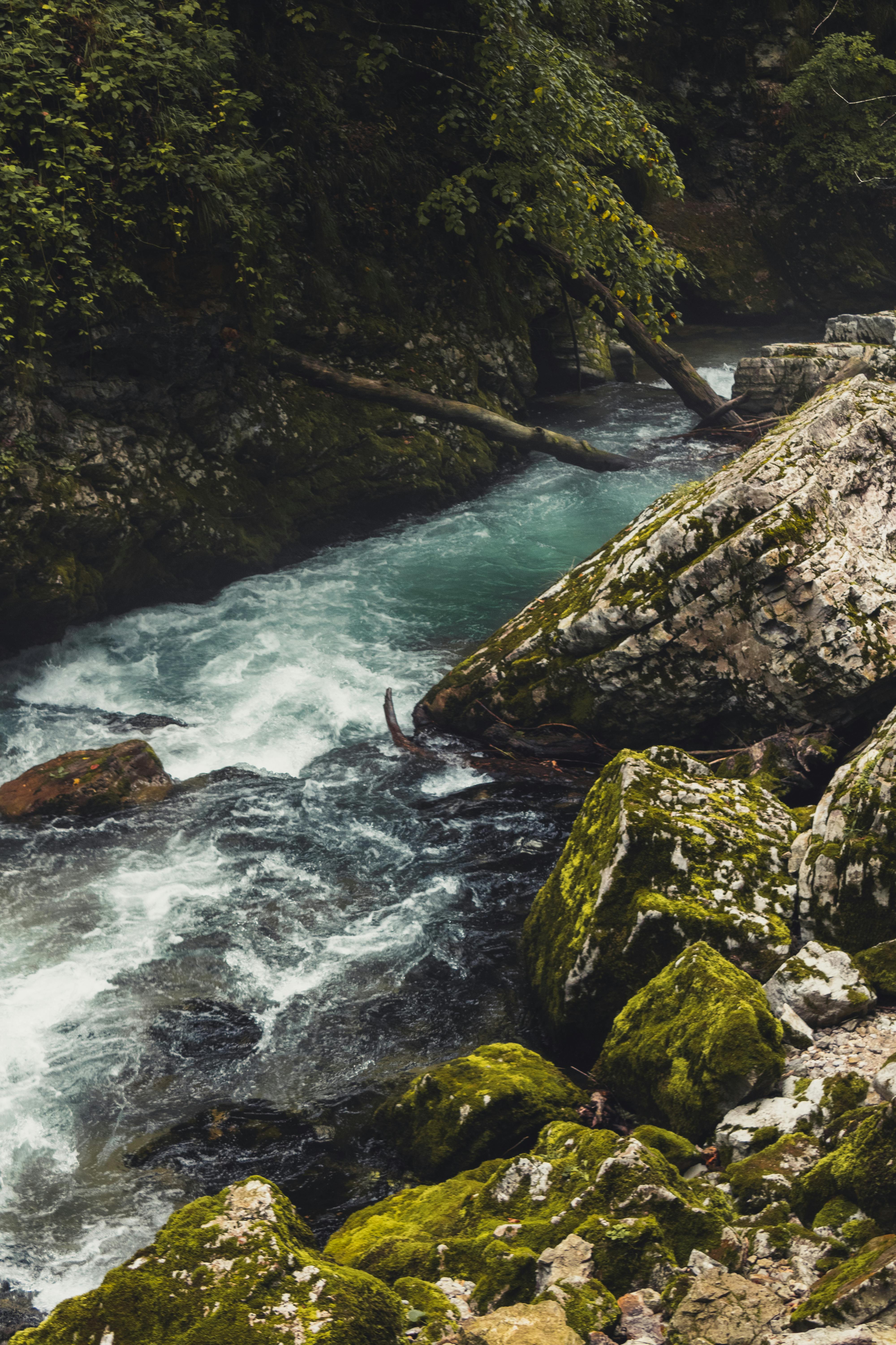 Photo of a River · Free Stock Photo