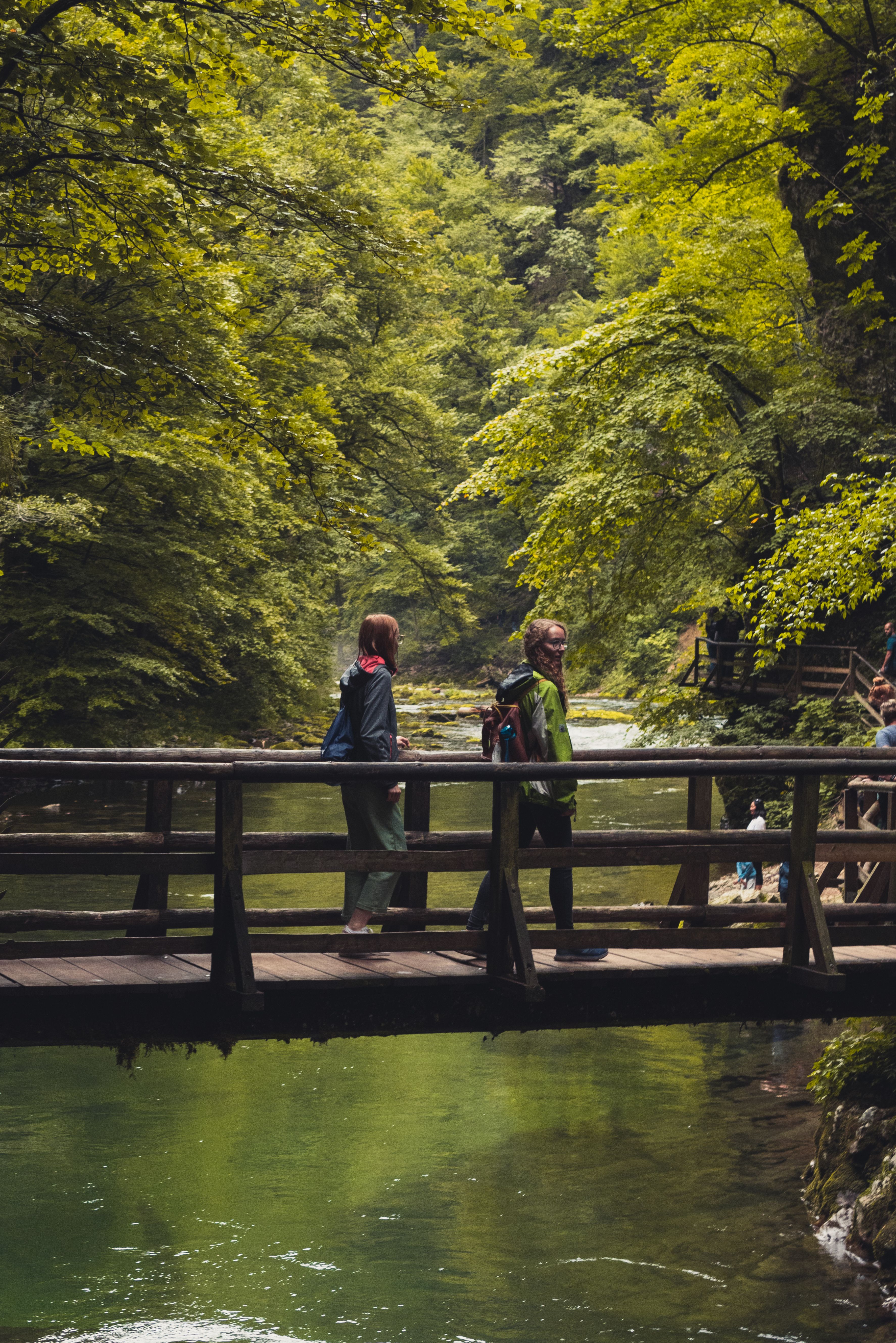 People Walking on Wooden Bridge over the River · Free Stock Photo