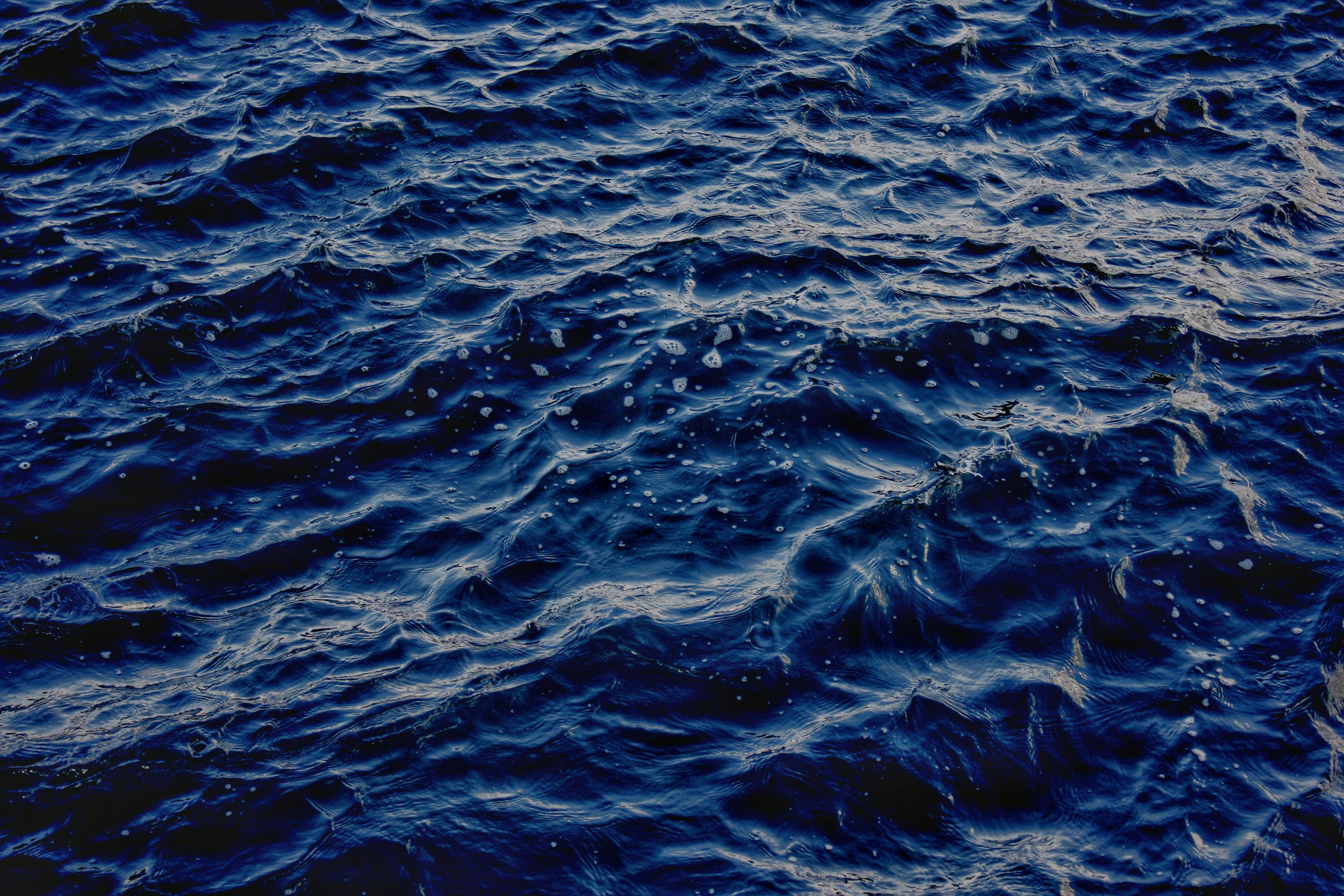 Alcon Blue Photos, Download Free Alcon Blue Stock Photos & HD Images