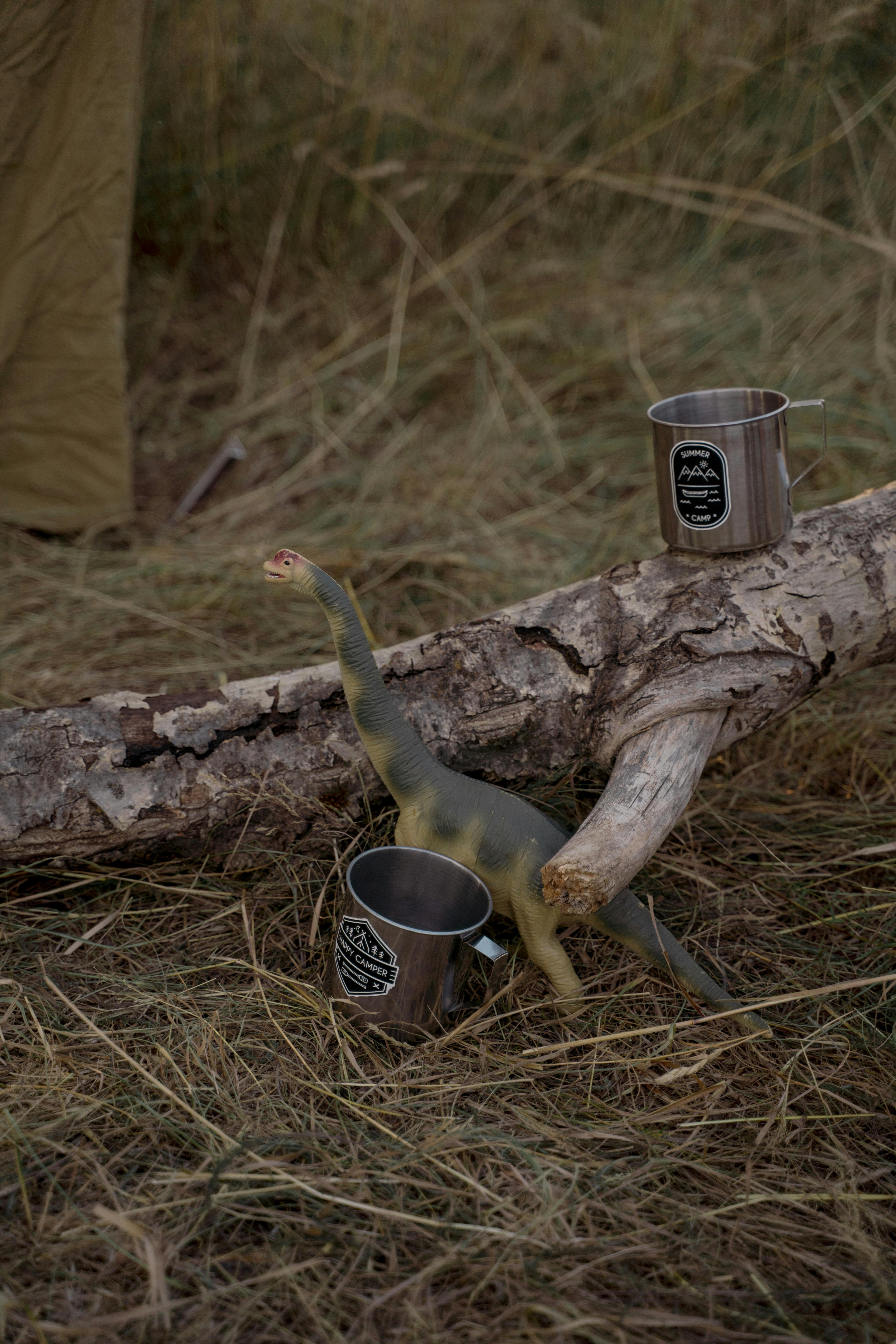 Stainless Steel Mugs near the Tree Trunk · Free Stock Photo
