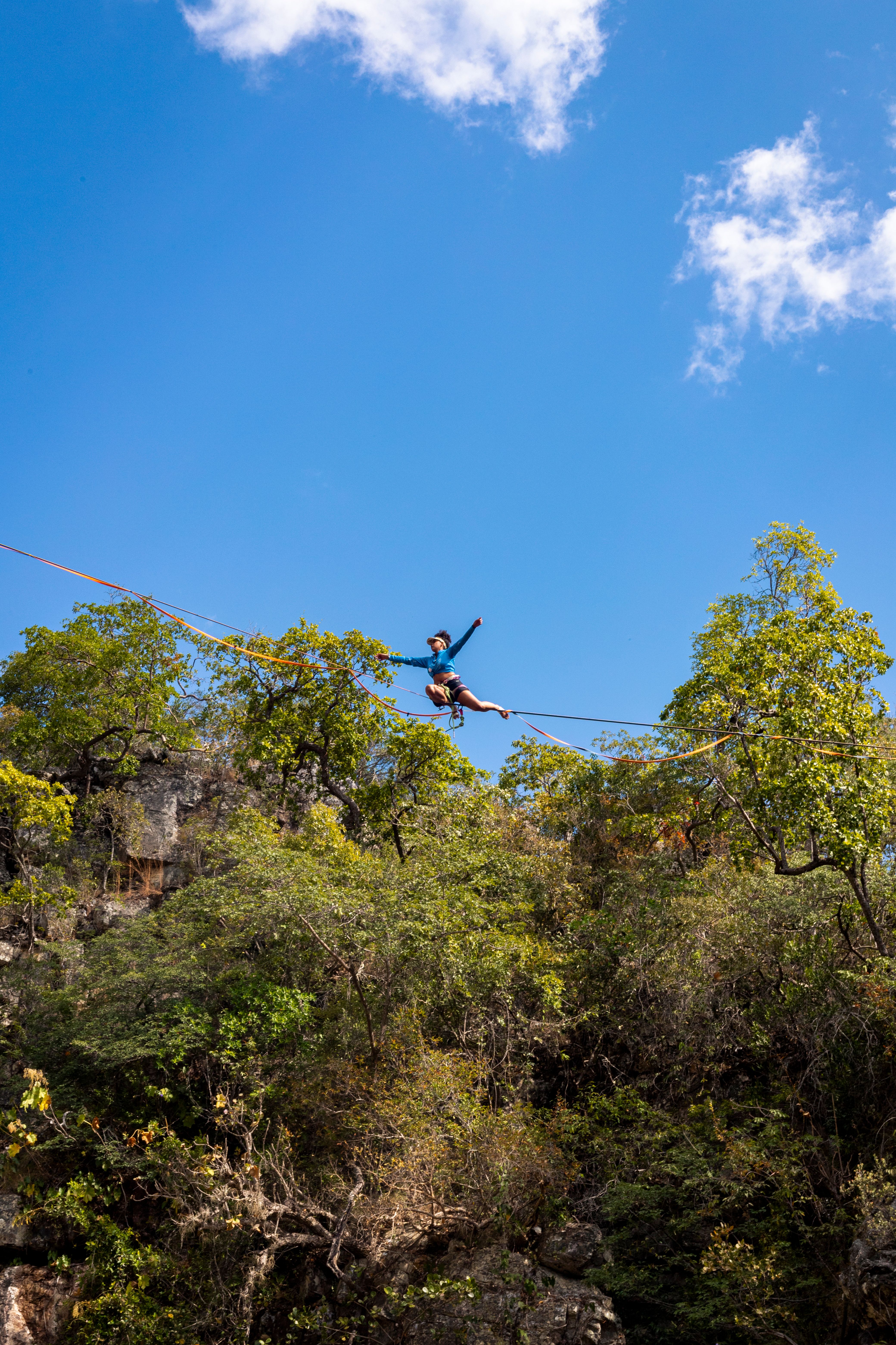 Person Walking on Rope over Forest · Free Stock Photo