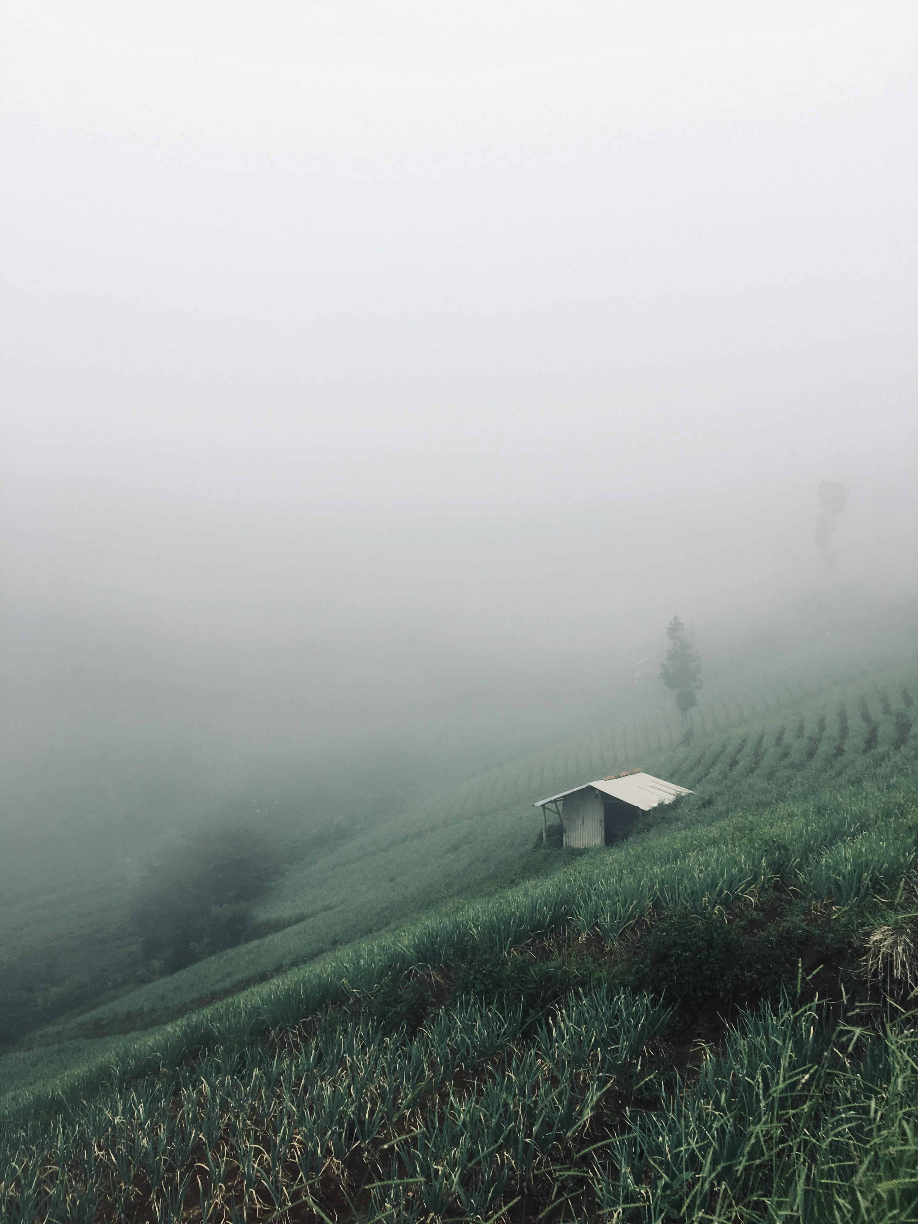 A Wooden House near the Trees · Free Stock Photo