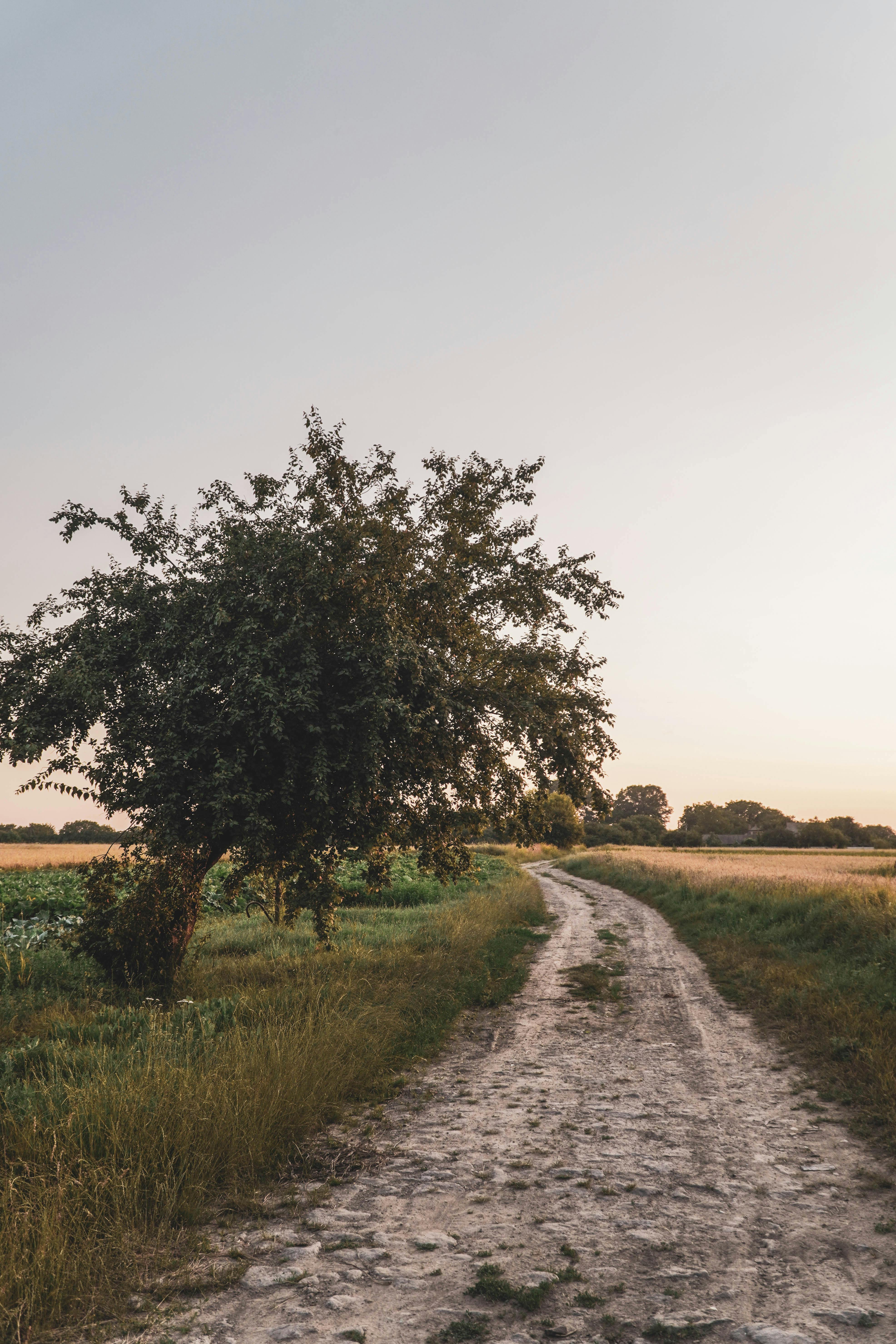 Photo of a Landscape with a Dirt Road · Free Stock Photo