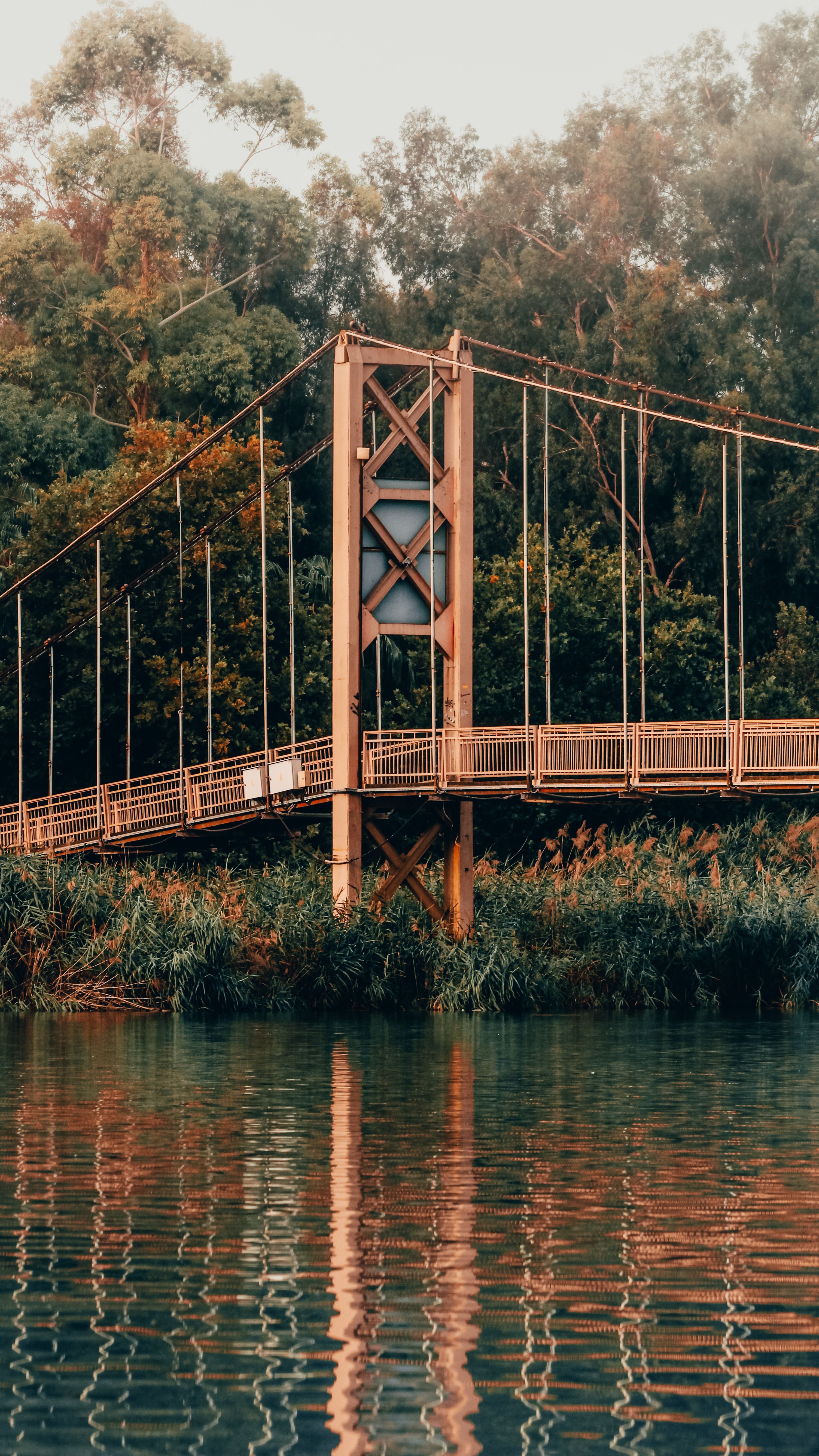 Modern Bridge in a City Center · Free Stock Photo