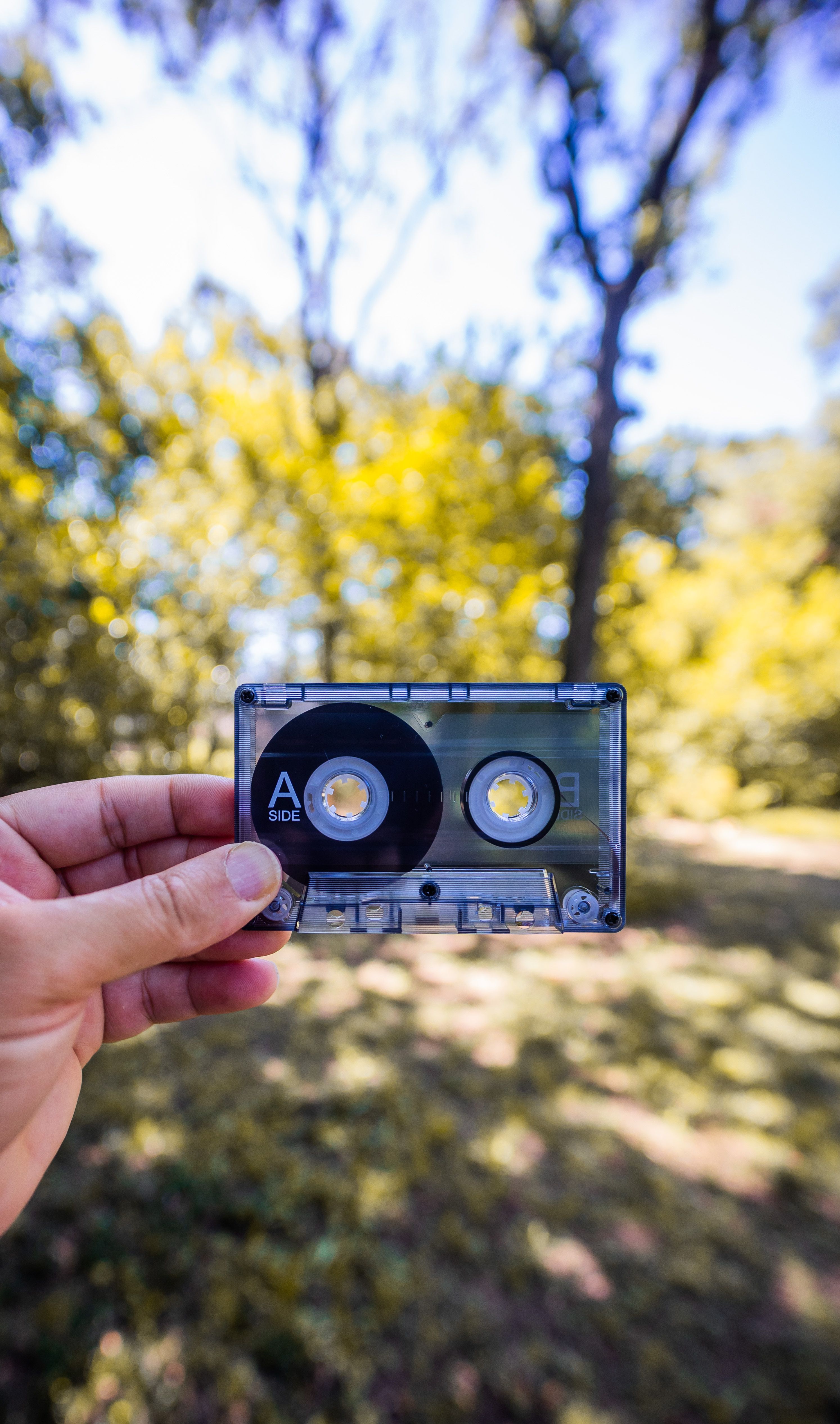 A Person Holding a VHS Cassette · Free Stock Photo