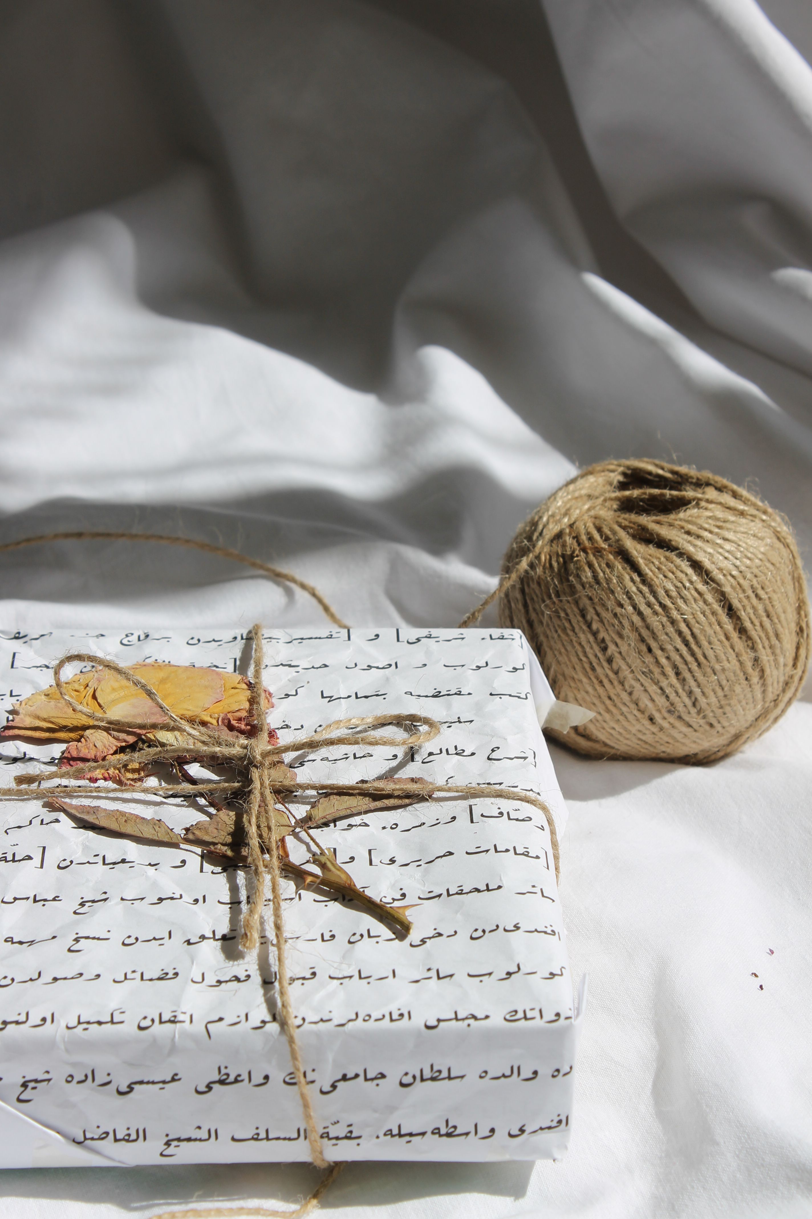 Ball of Yarn Beside a Dry Stem · Free Stock Photo