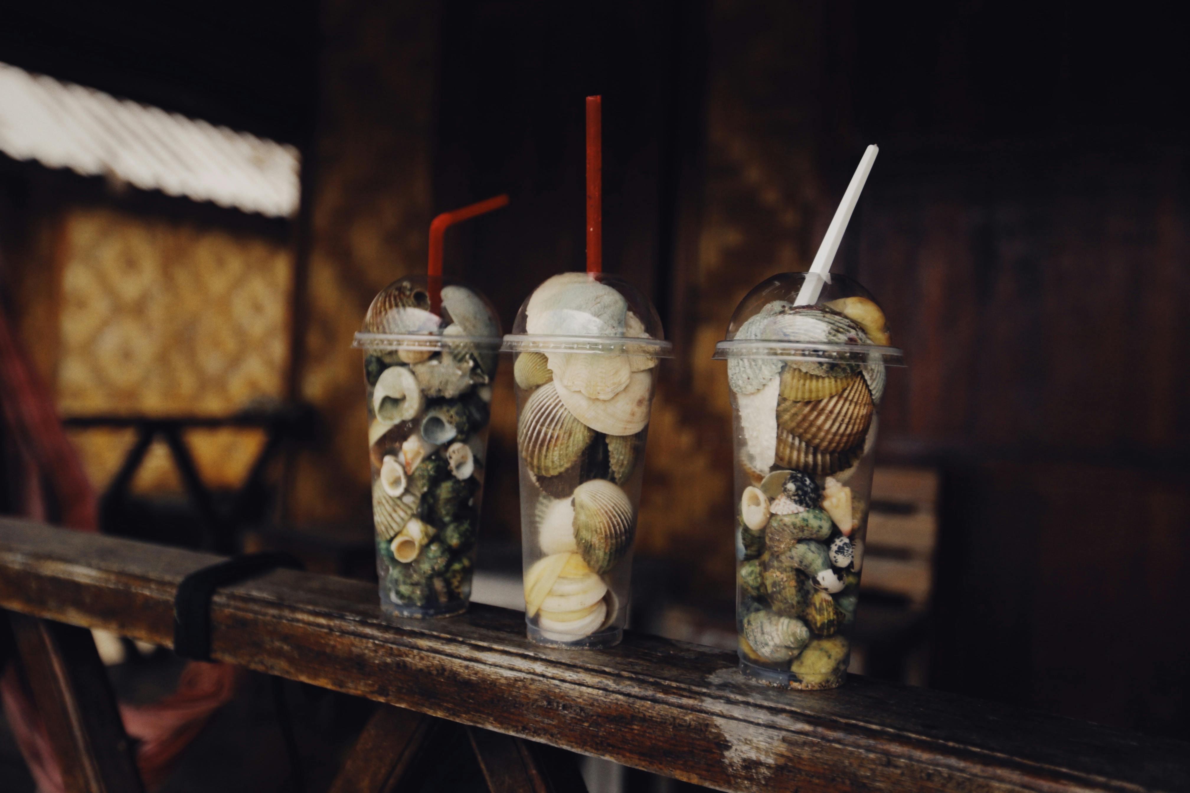 Summer Seashells Photos, Download The BEST Free Summer Seashells Stock ...