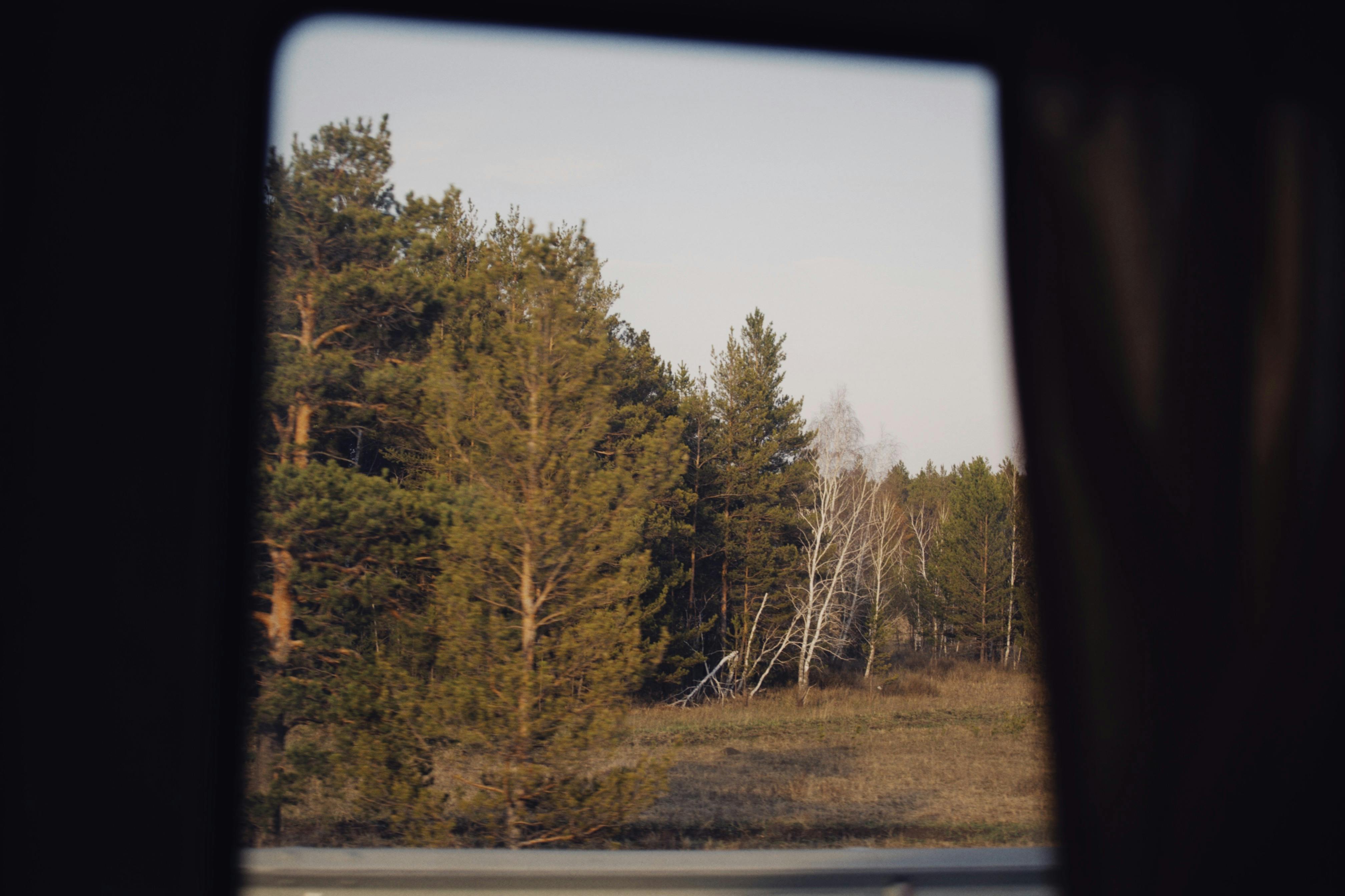 Photograph of Trees Through a Window · Free Stock Photo