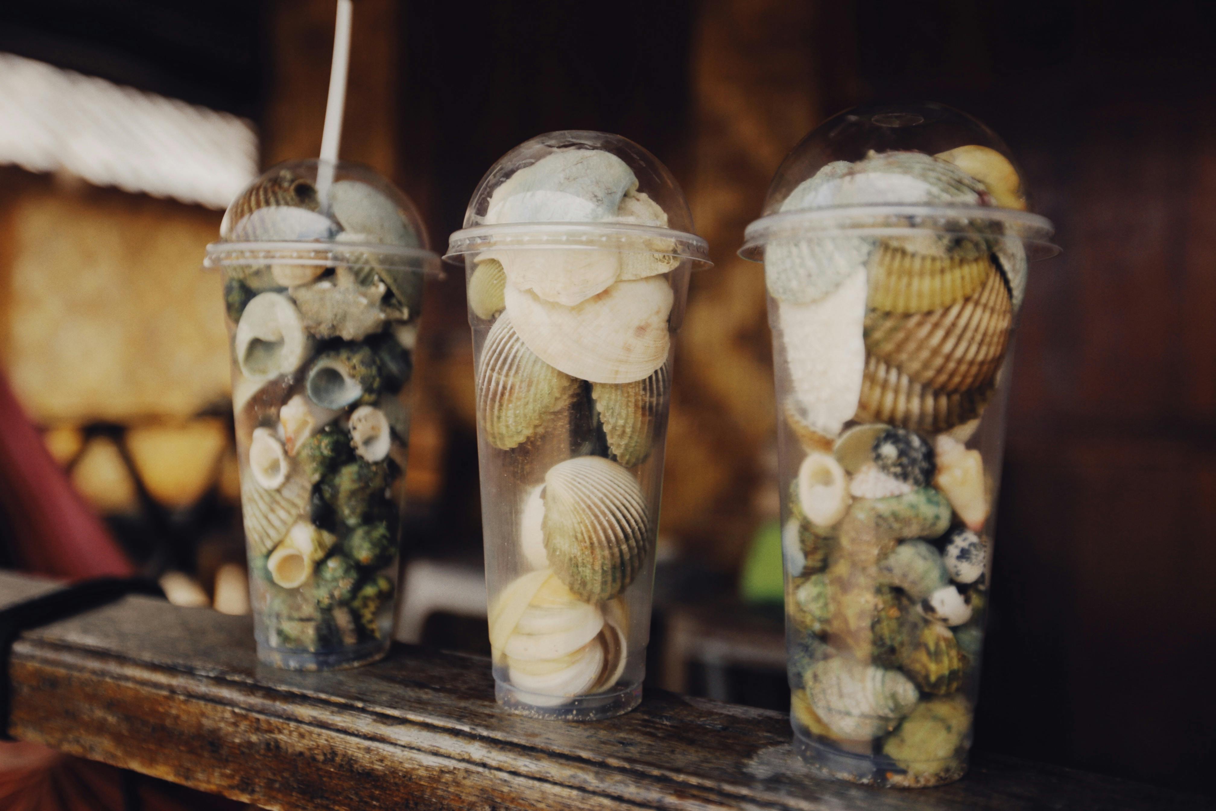 A Close-Up Shot of Seashells · Free Stock Photo