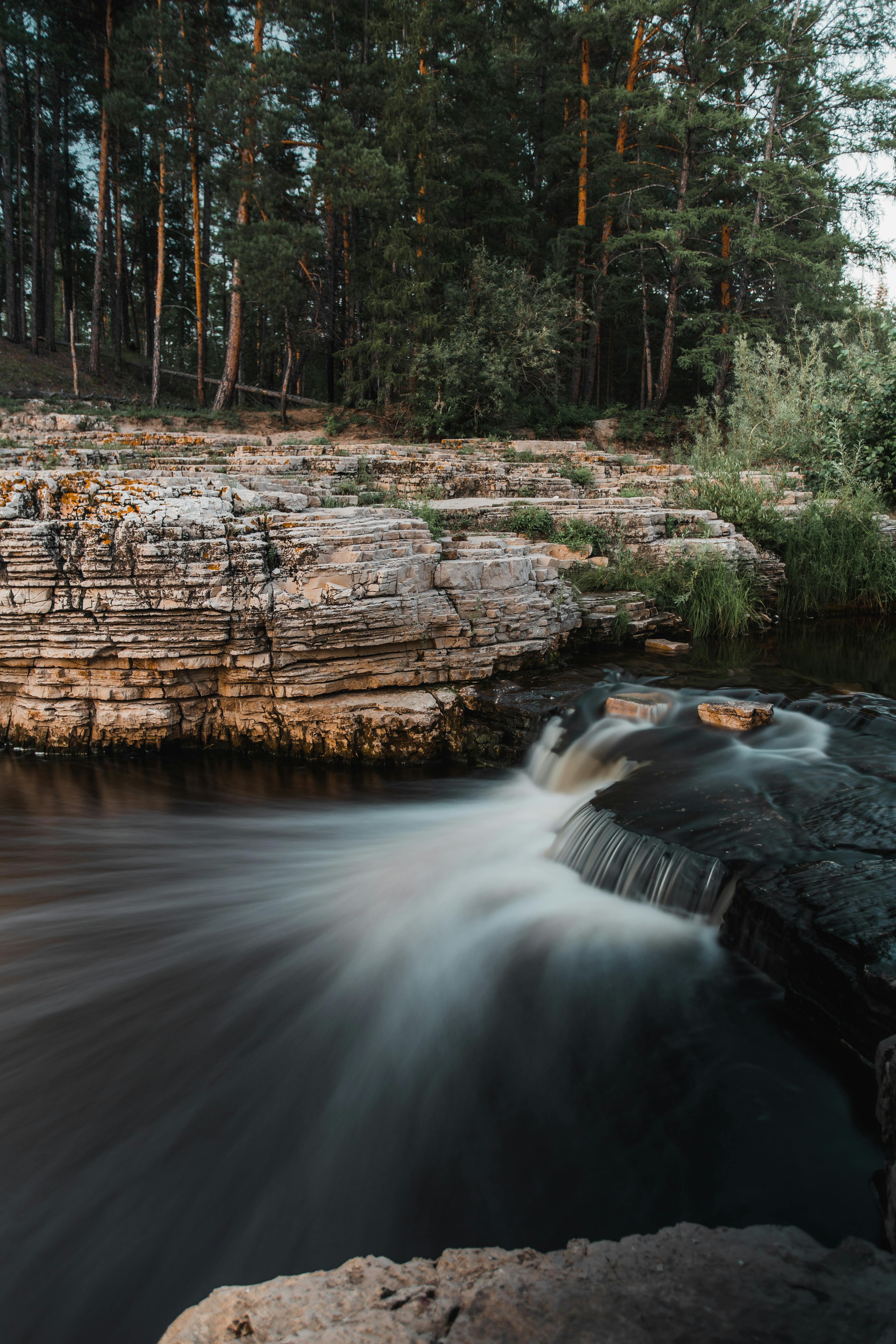 Flowing River in the Forest · Free Stock Photo