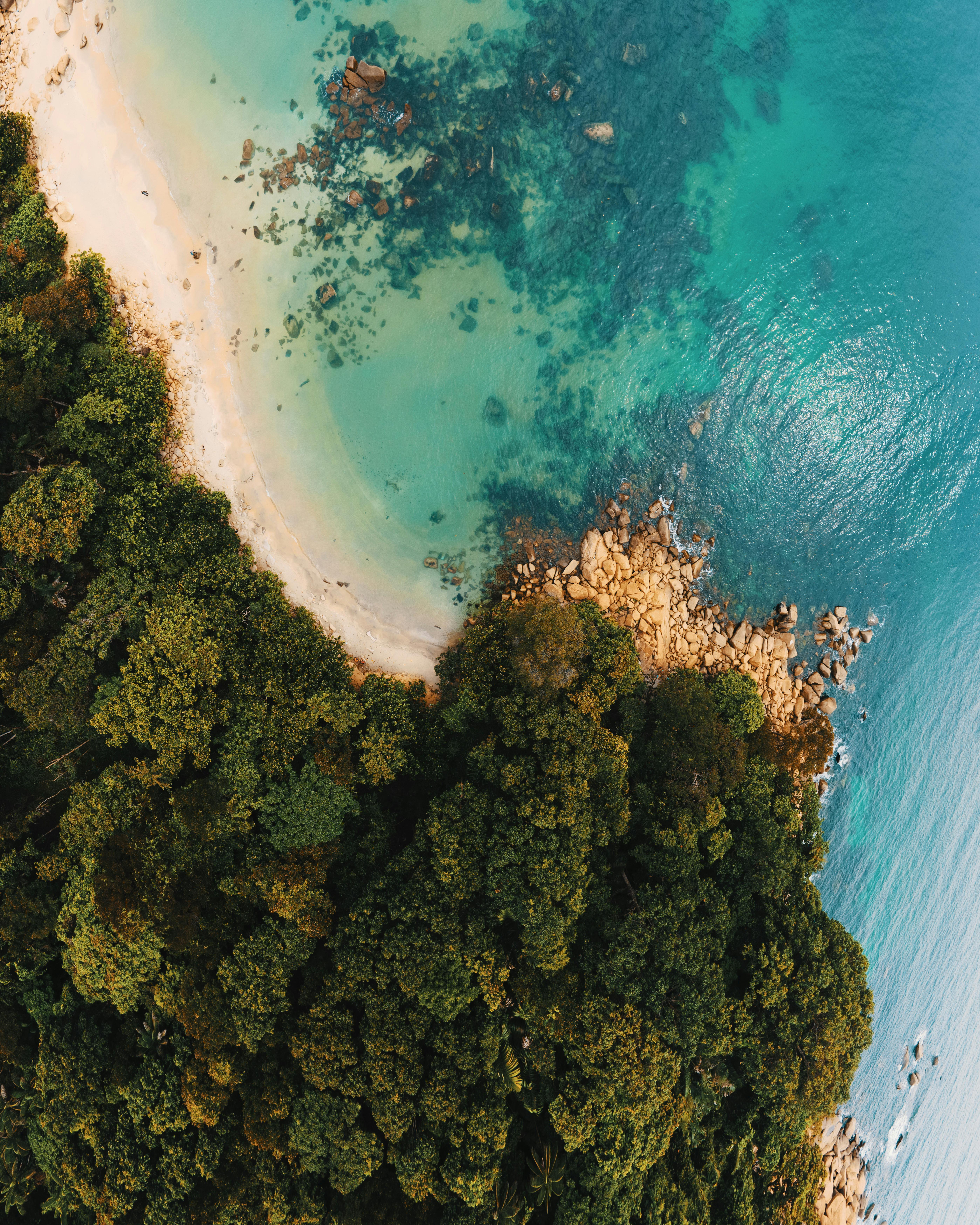 Aerial View of a Landscape · Free Stock Photo