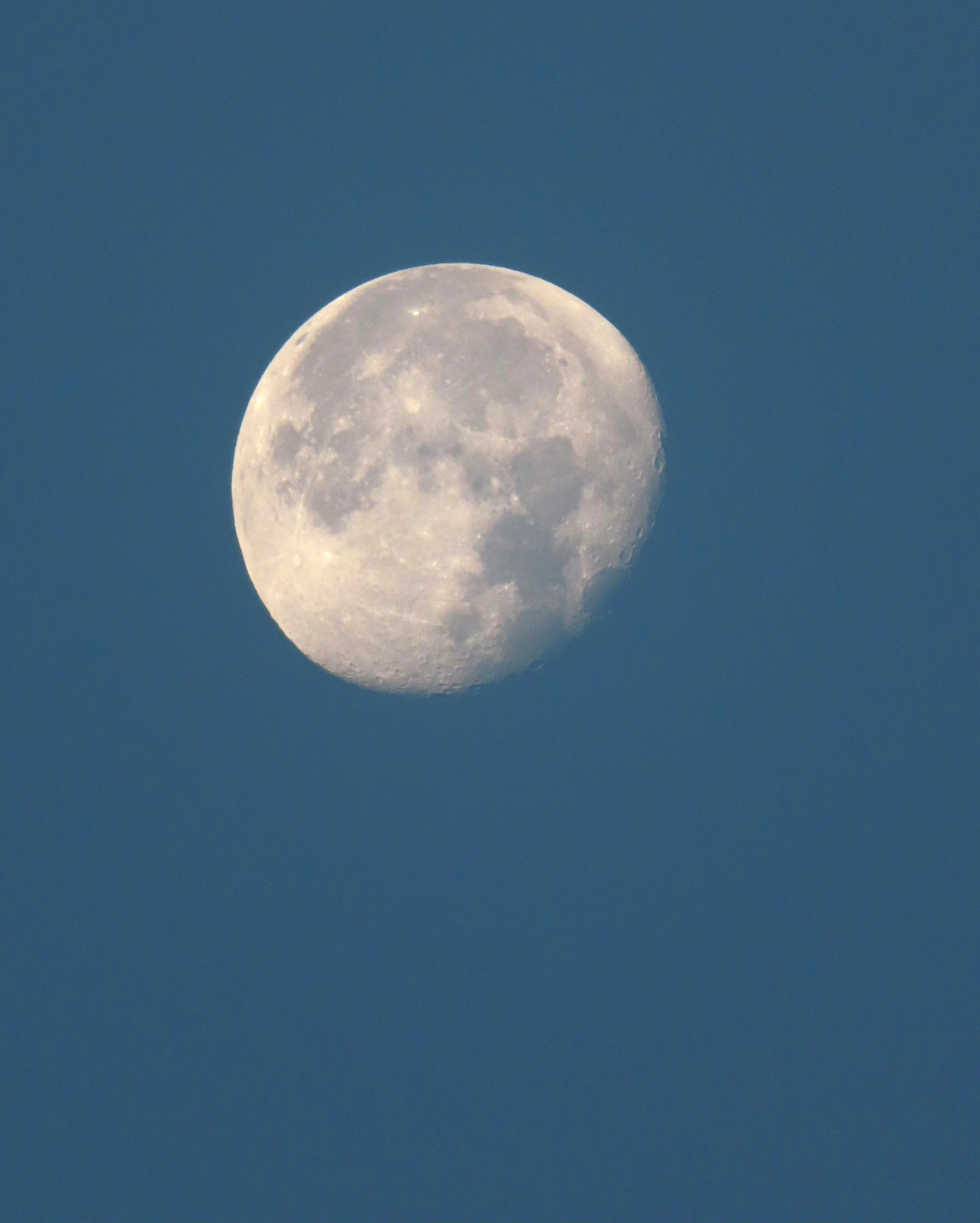 Early Morning Moon Photos, Download The BEST Free Early Morning Moon ...