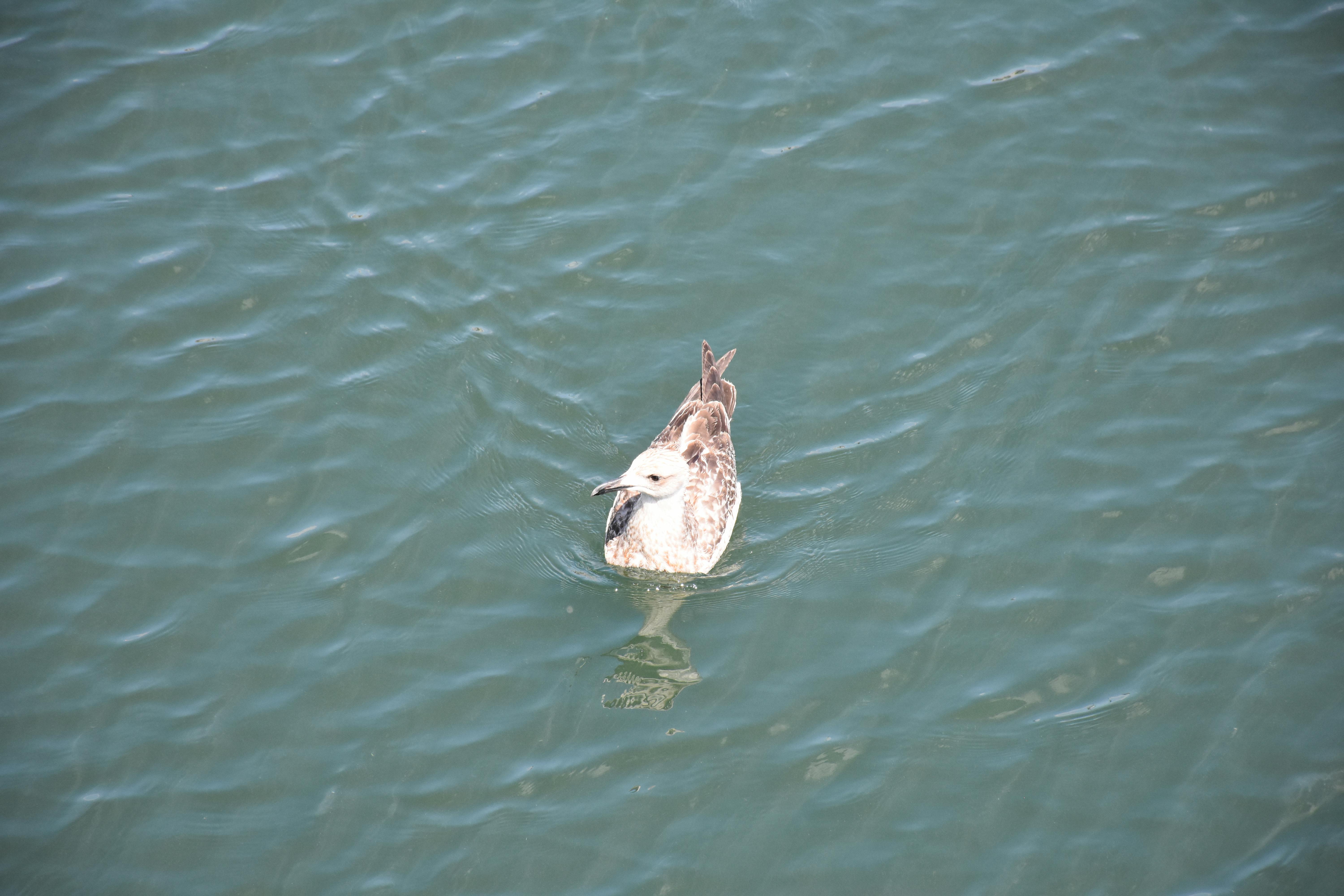 TOLGA AKAGÜN - Photography