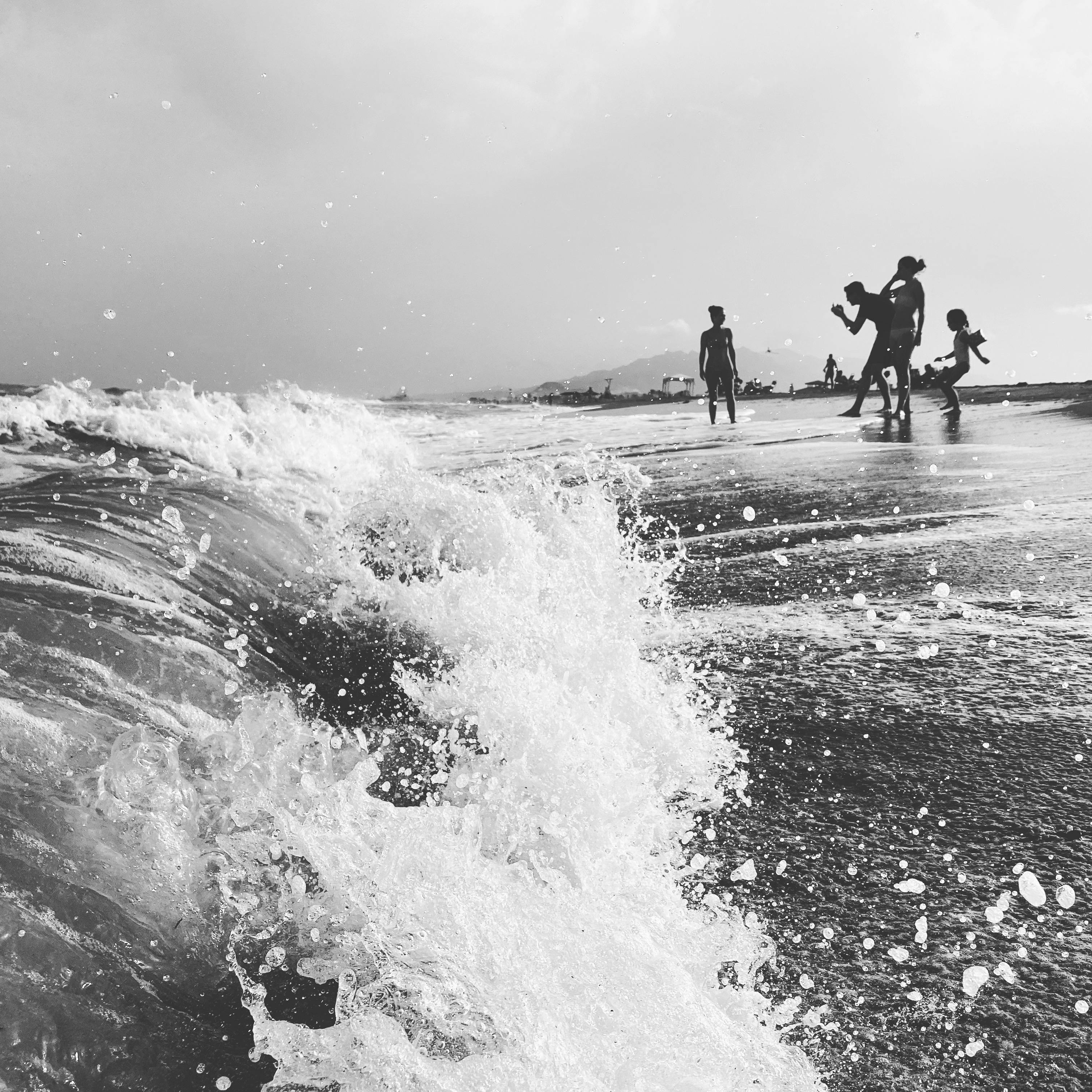 Vera Family Photos, Download The BEST Free Vera Family Stock Photos ...