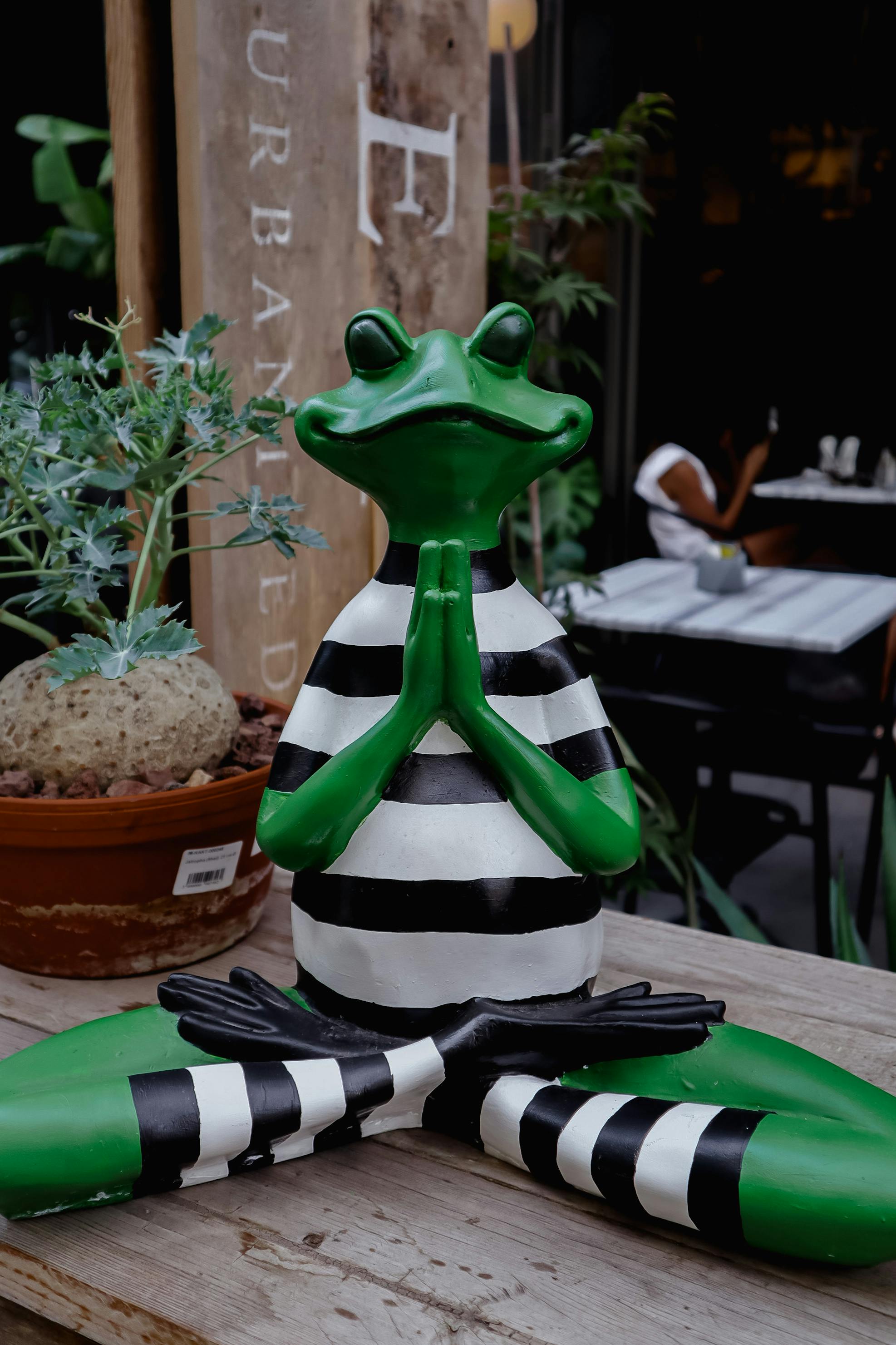 Pakistan Frog Photos, Download Free Pakistan Frog Stock Photos & HD Images