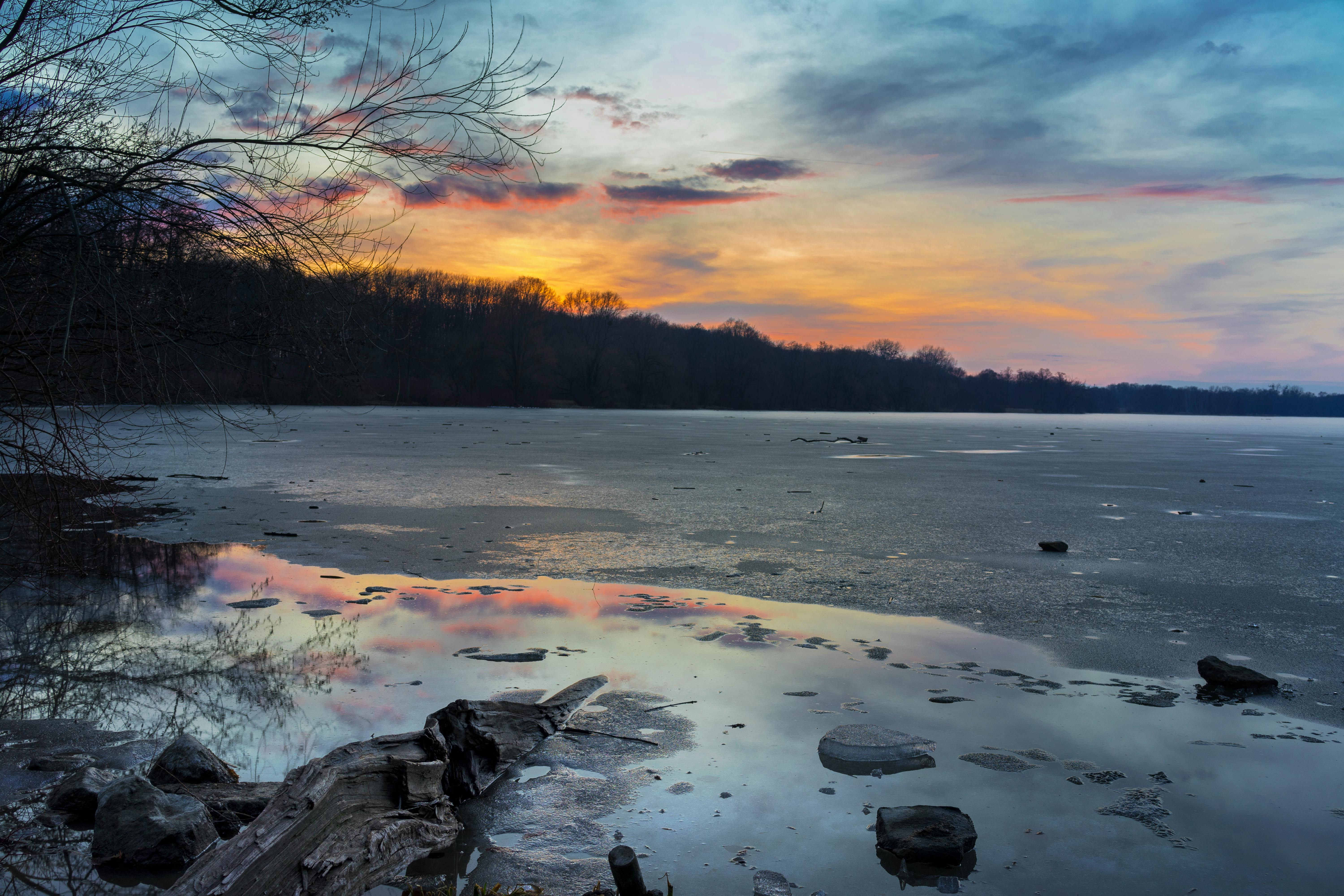 Green Tree Line Near Body of Water at Golden Hours · Free Stock Photo
