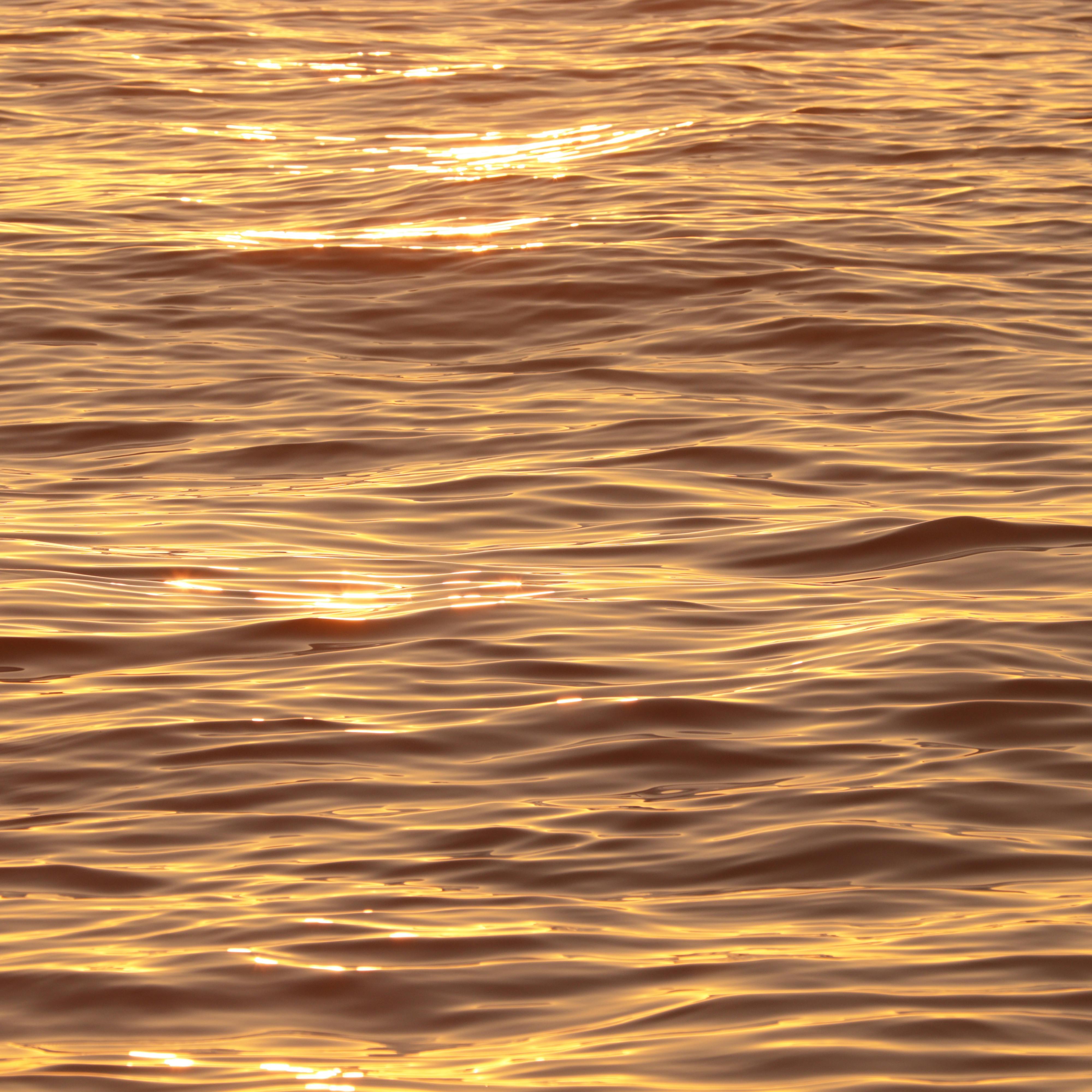 Sea Ripples with Yellow Reflection · Free Stock Photo