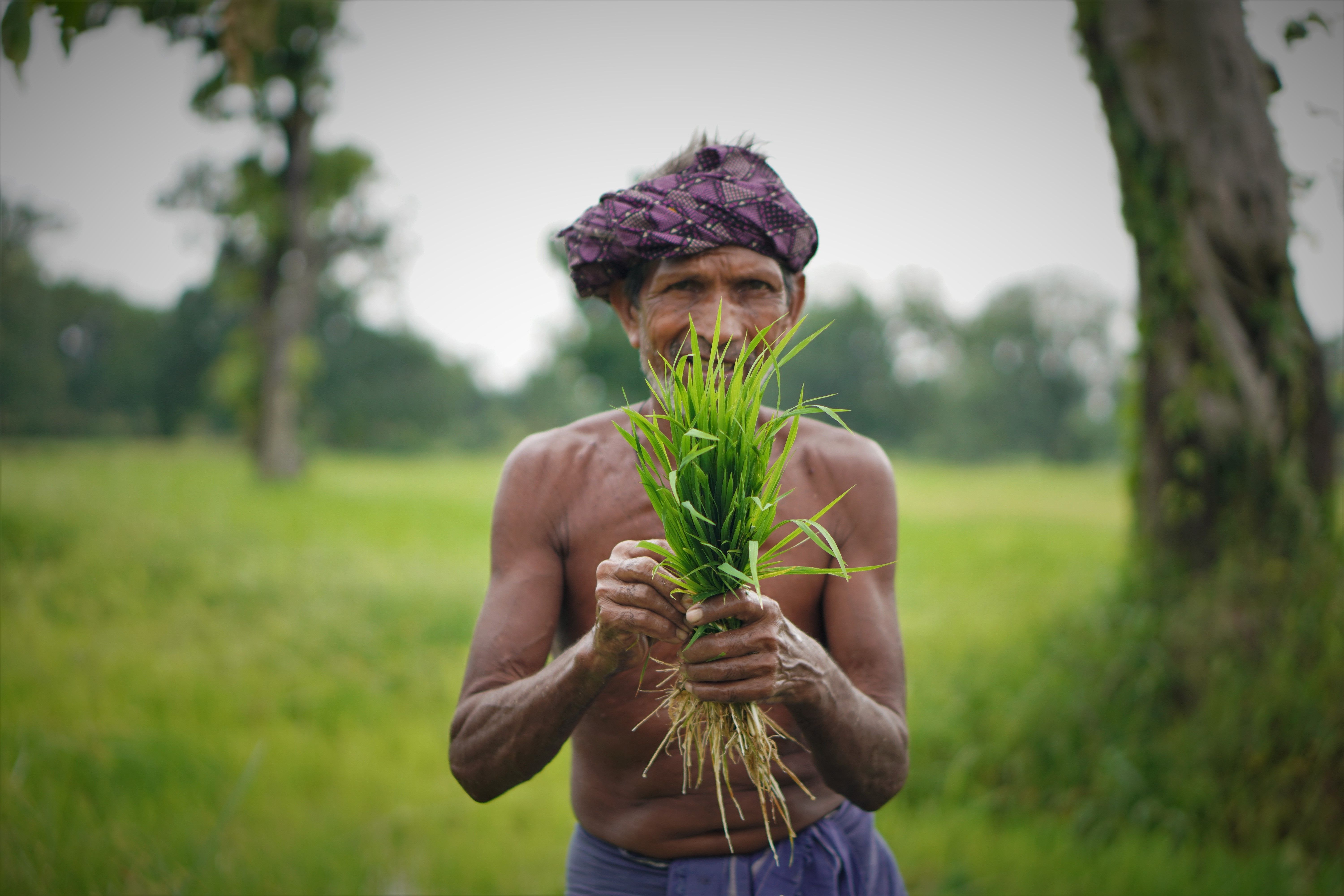 Farmers Shirtless Photos, Download Free Farmers Shirtless Stock Photos ...