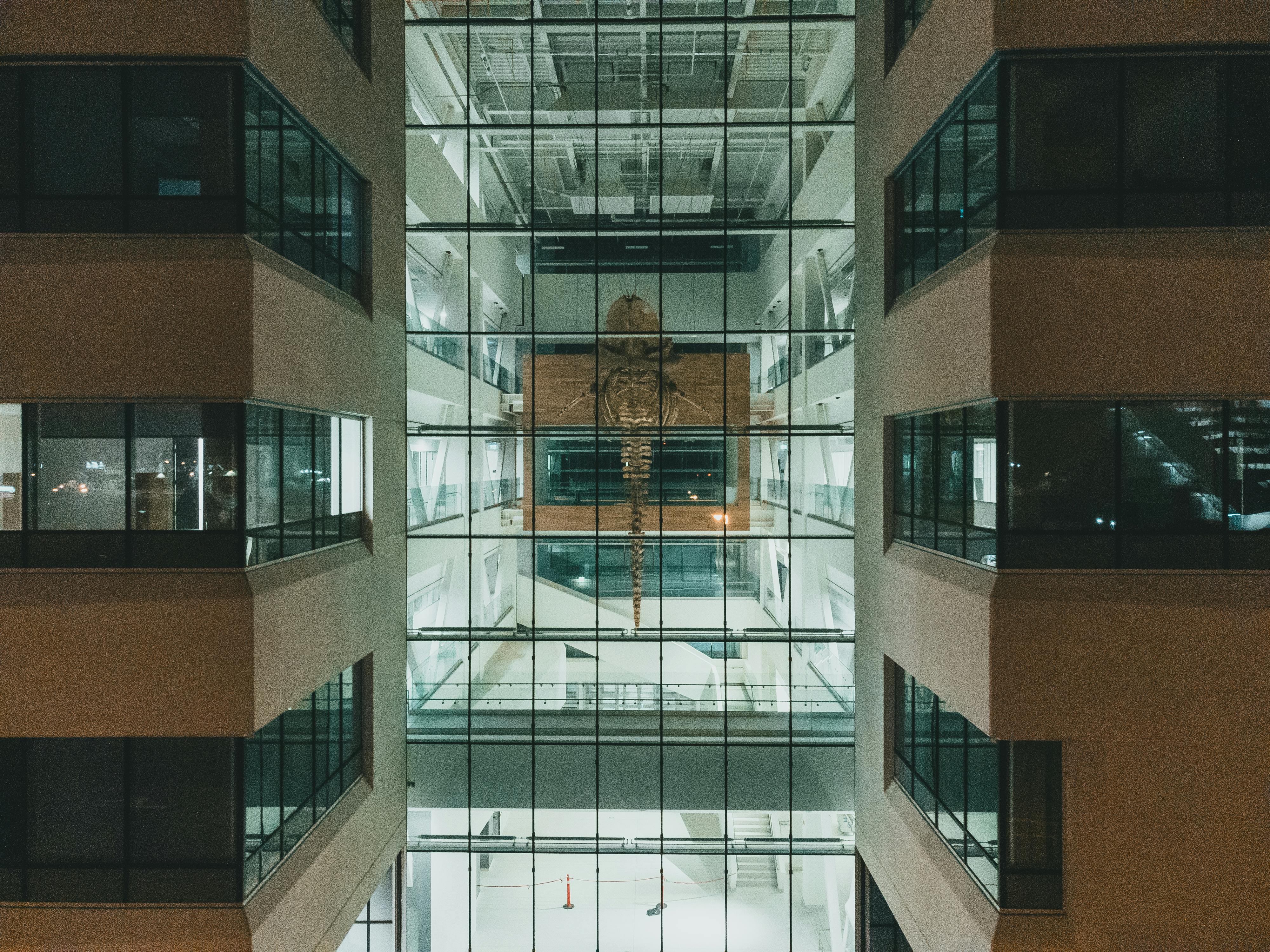Skeleton behind Glass Windows · Free Stock Photo