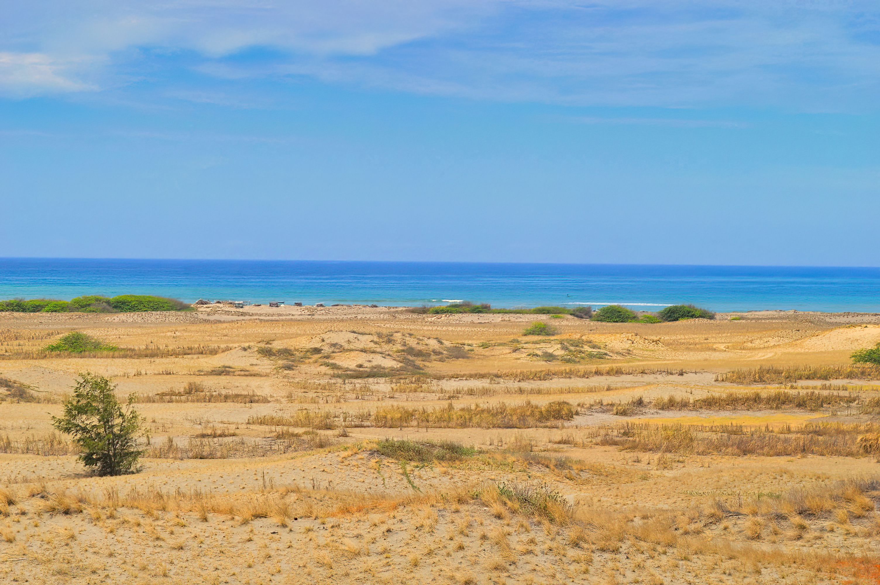 Clear Sky over Sea Shore · Free Stock Photo