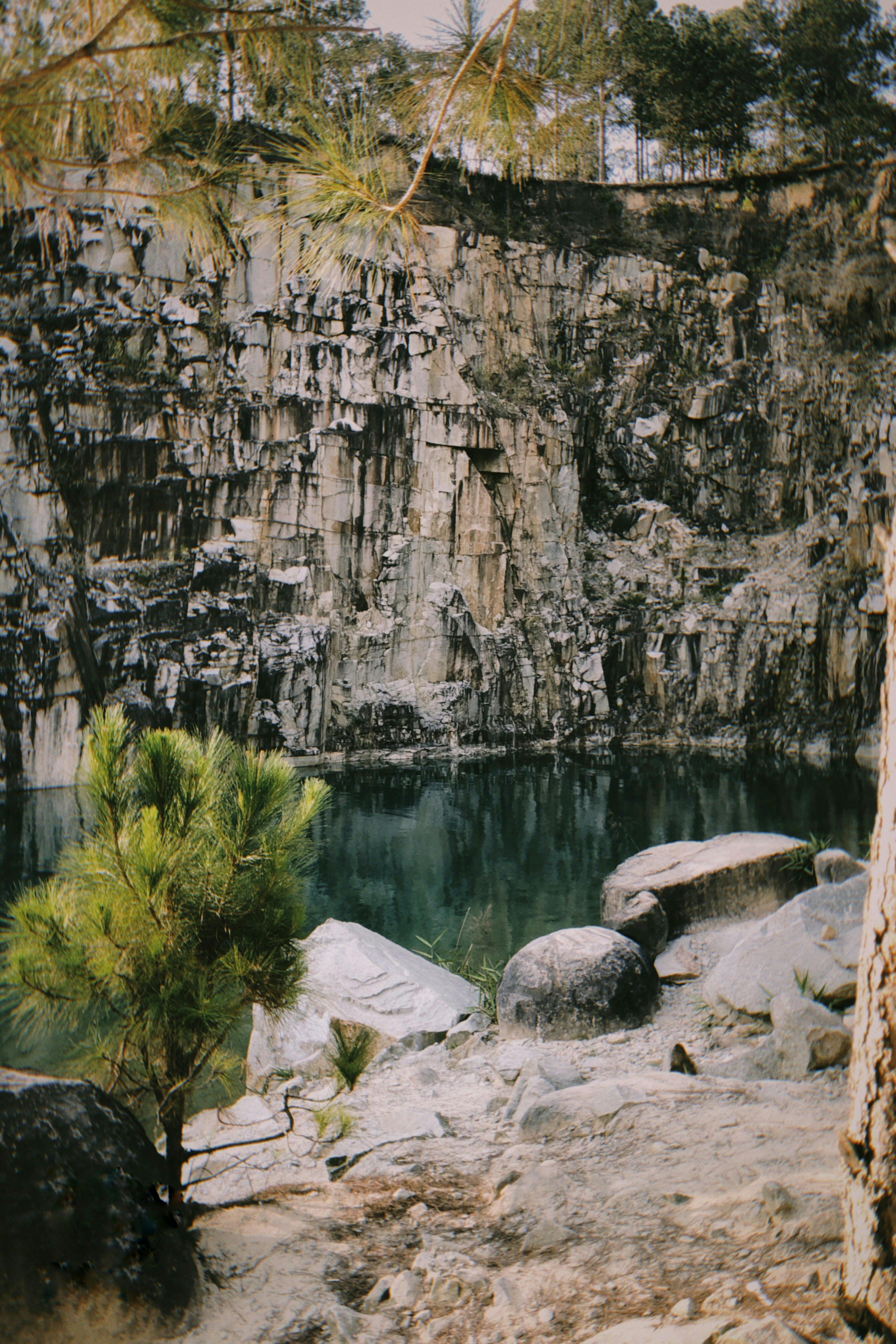 Dong Tree Duong Photos, Download The BEST Free Dong Tree Duong Stock ...