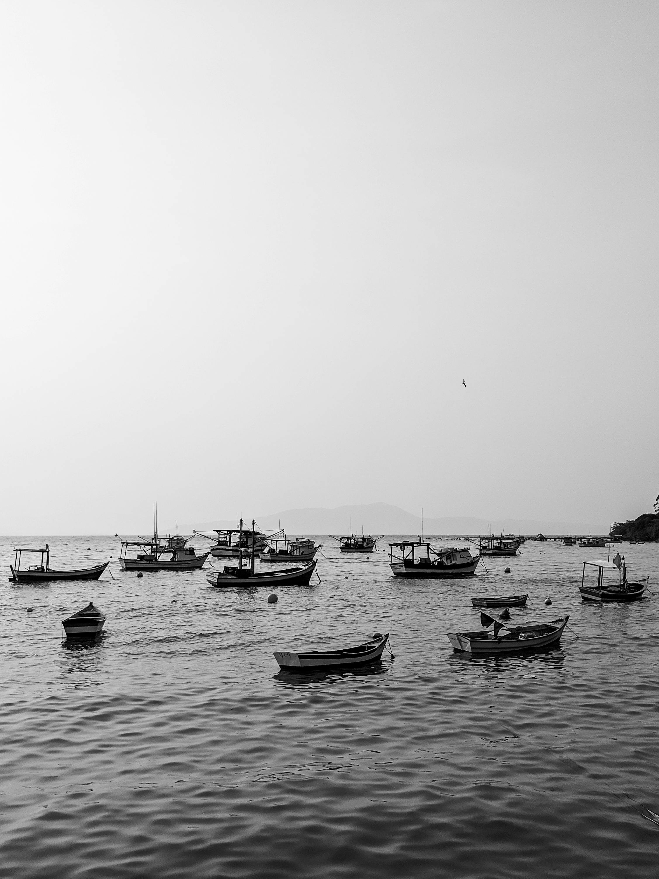 A Turkish Boat on a Sea · Free Stock Photo