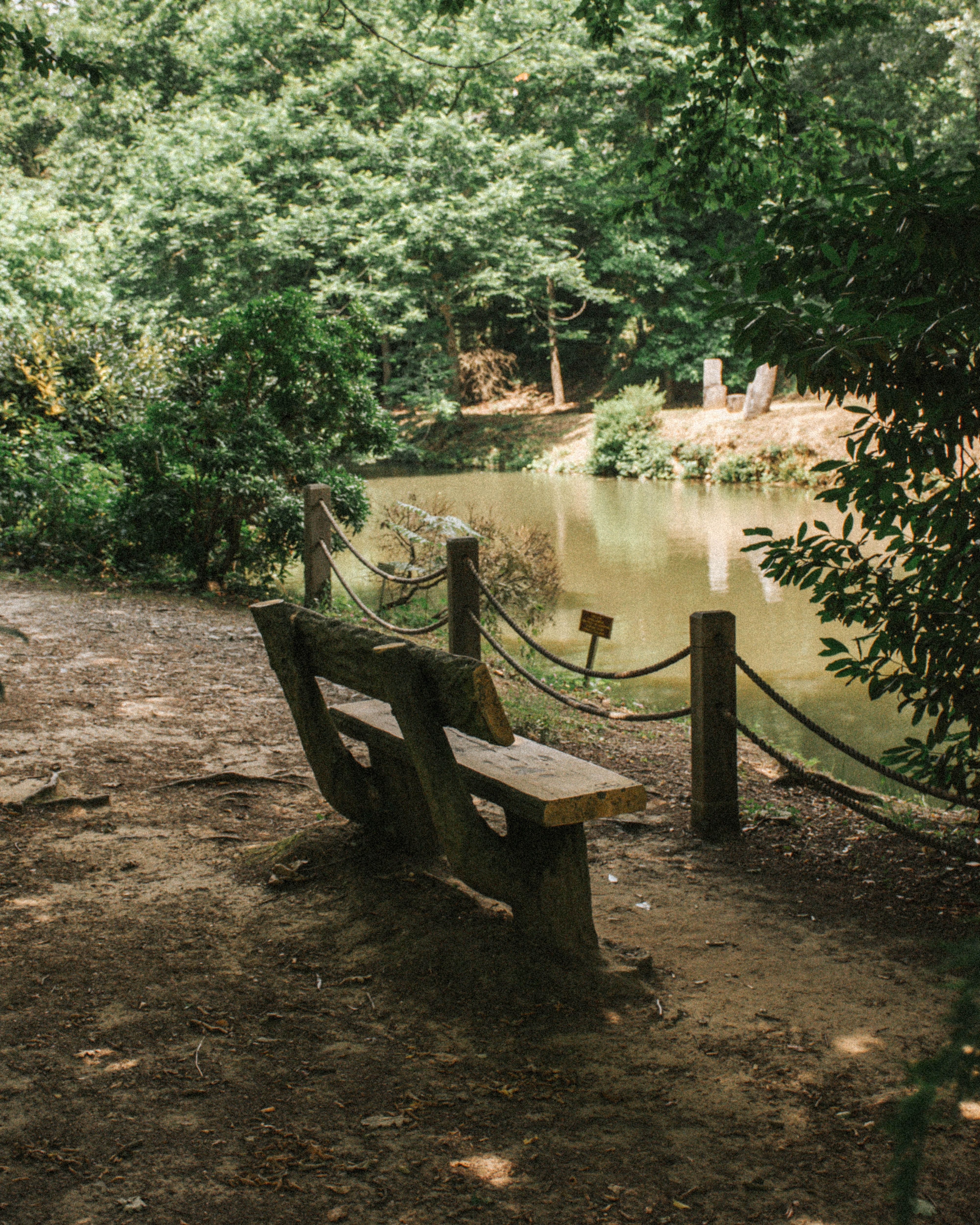 Wooden Bench Beside the River · Free Stock Photo
