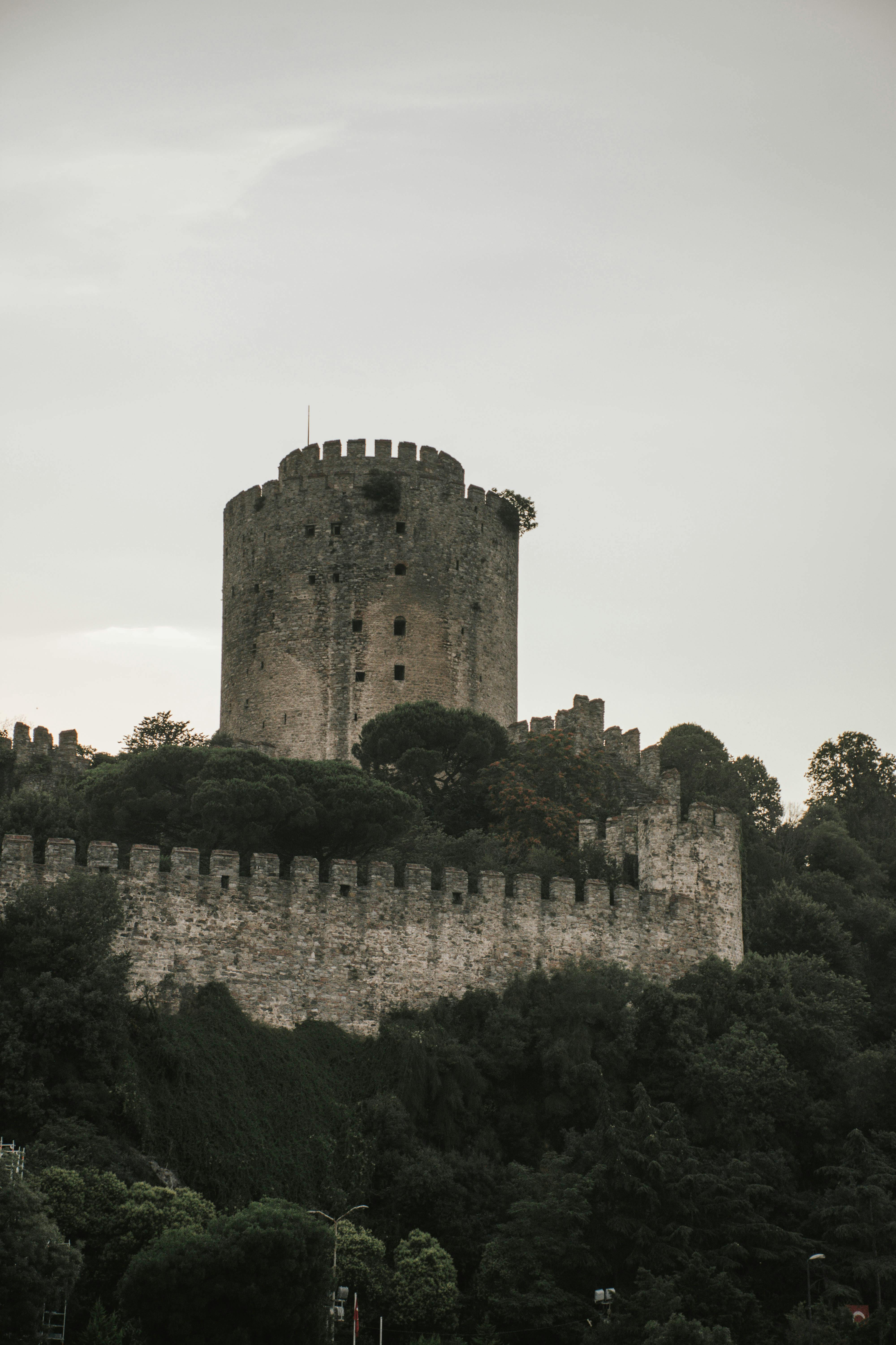 Old Stone Castle in Wood · Free Stock Photo