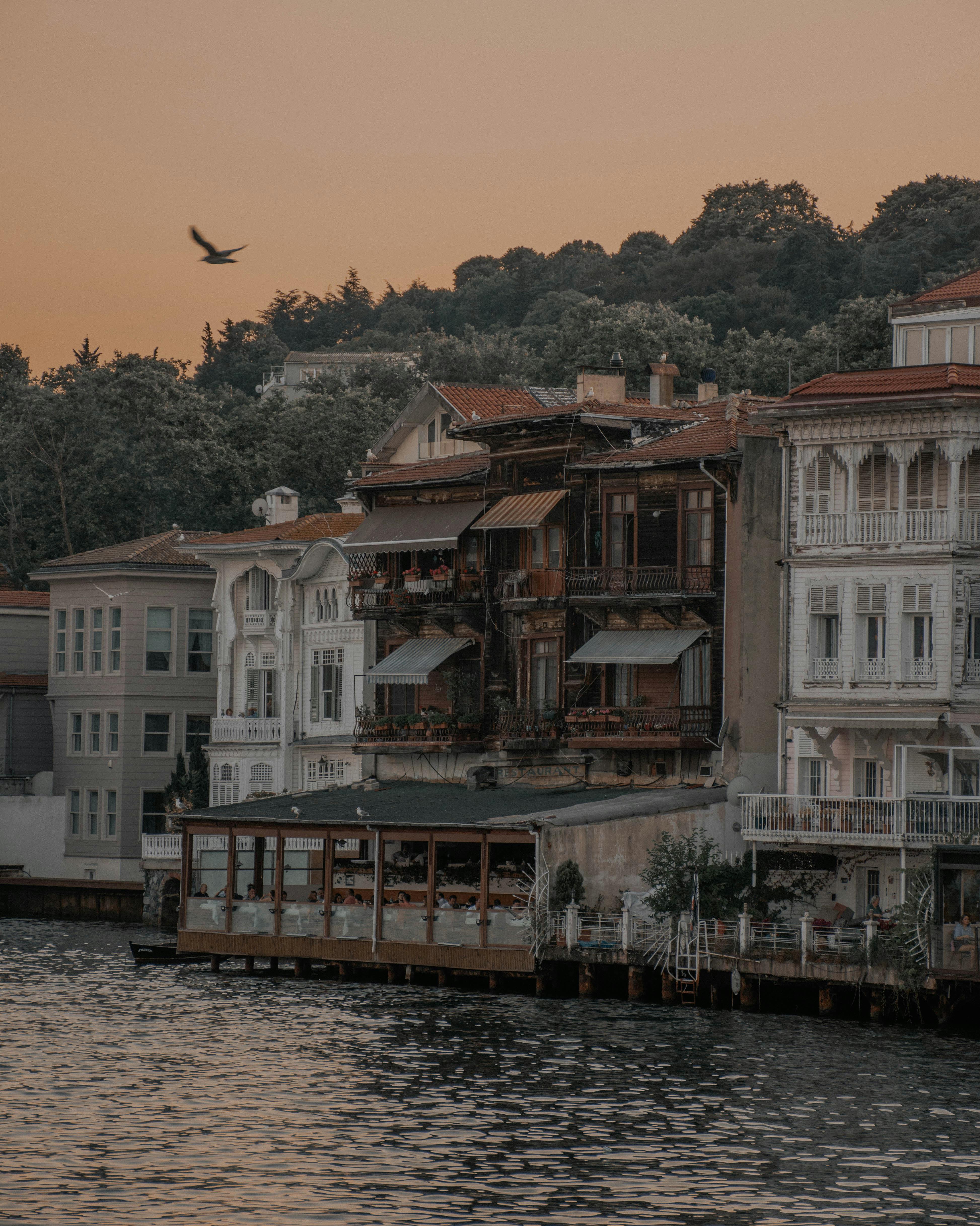 Sunset Homes Photos, Download The BEST Free Sunset Homes Stock Photos ...