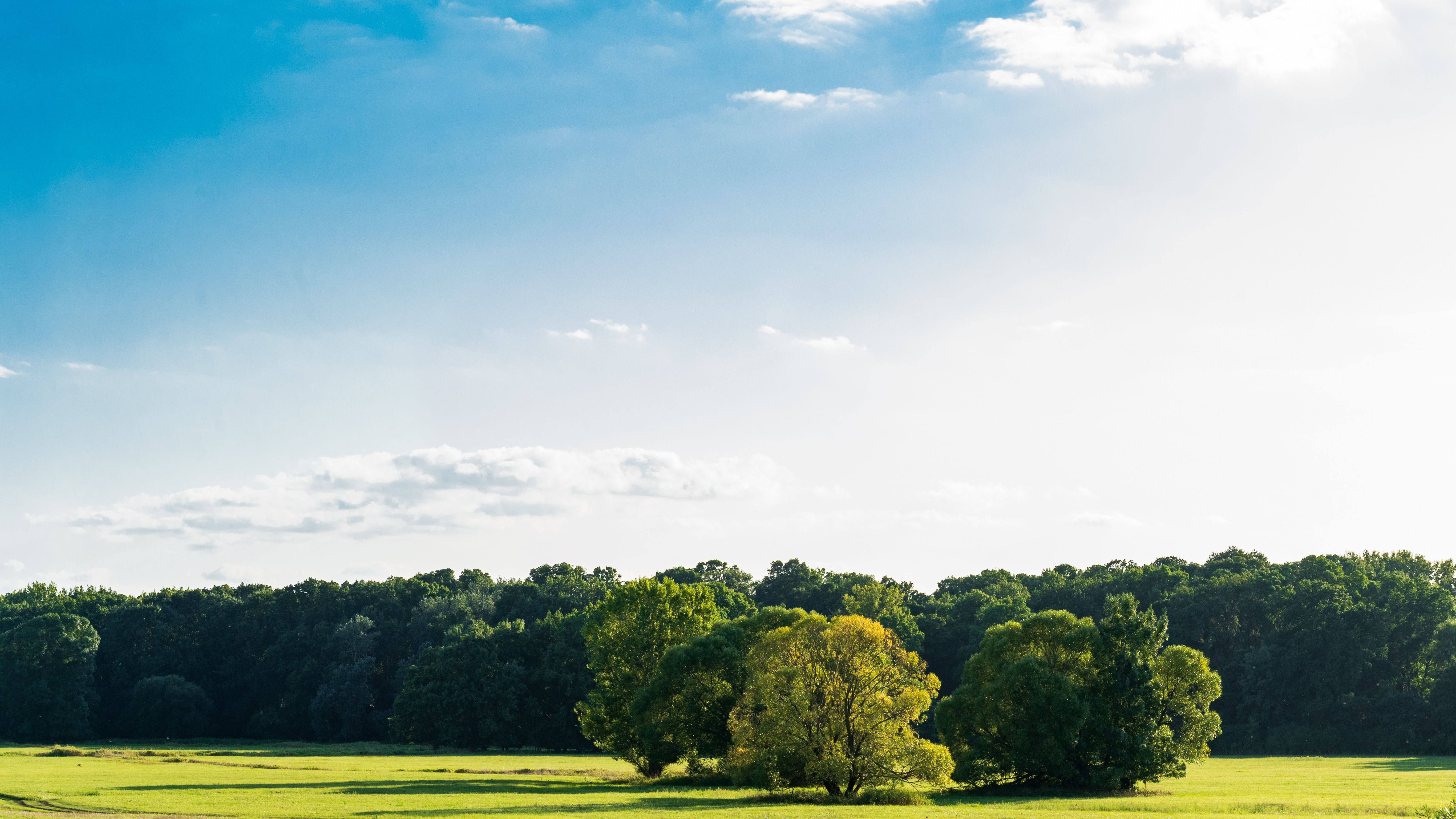 Beautiful Green Grass Field · Free Stock Photo