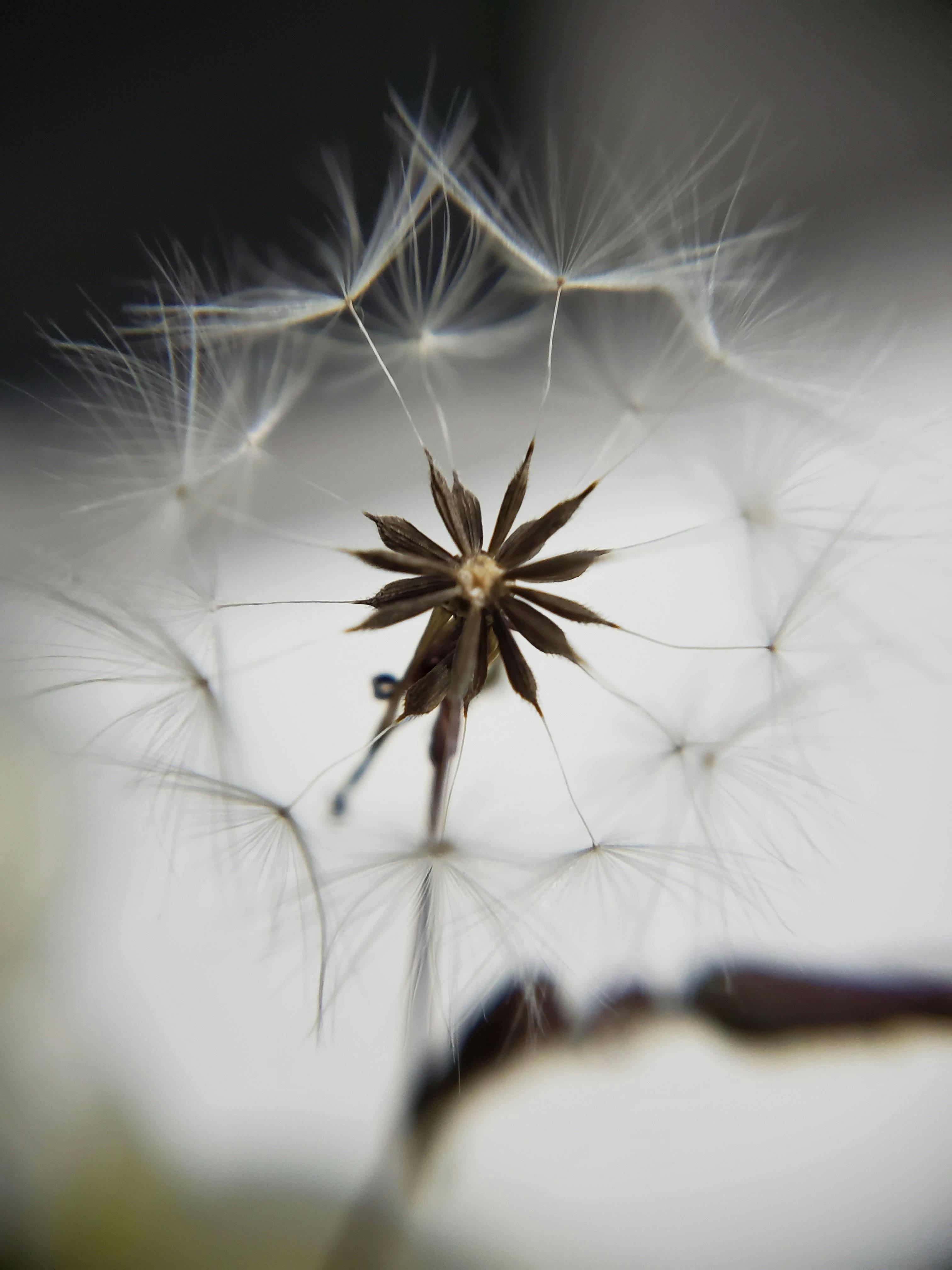 Nature Walk - Photography