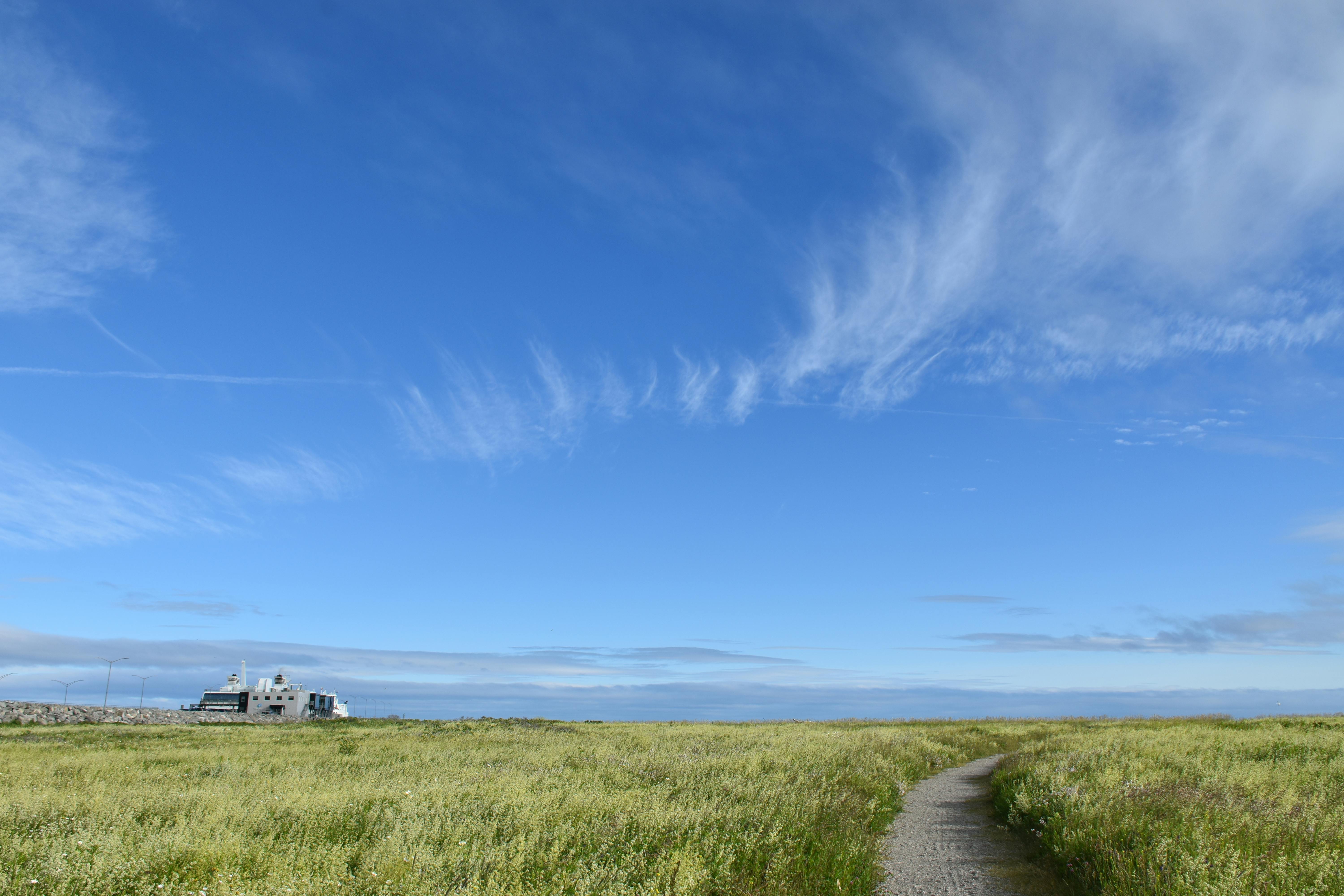 Building Landscape Photos, Download The BEST Free Building Landscape ...