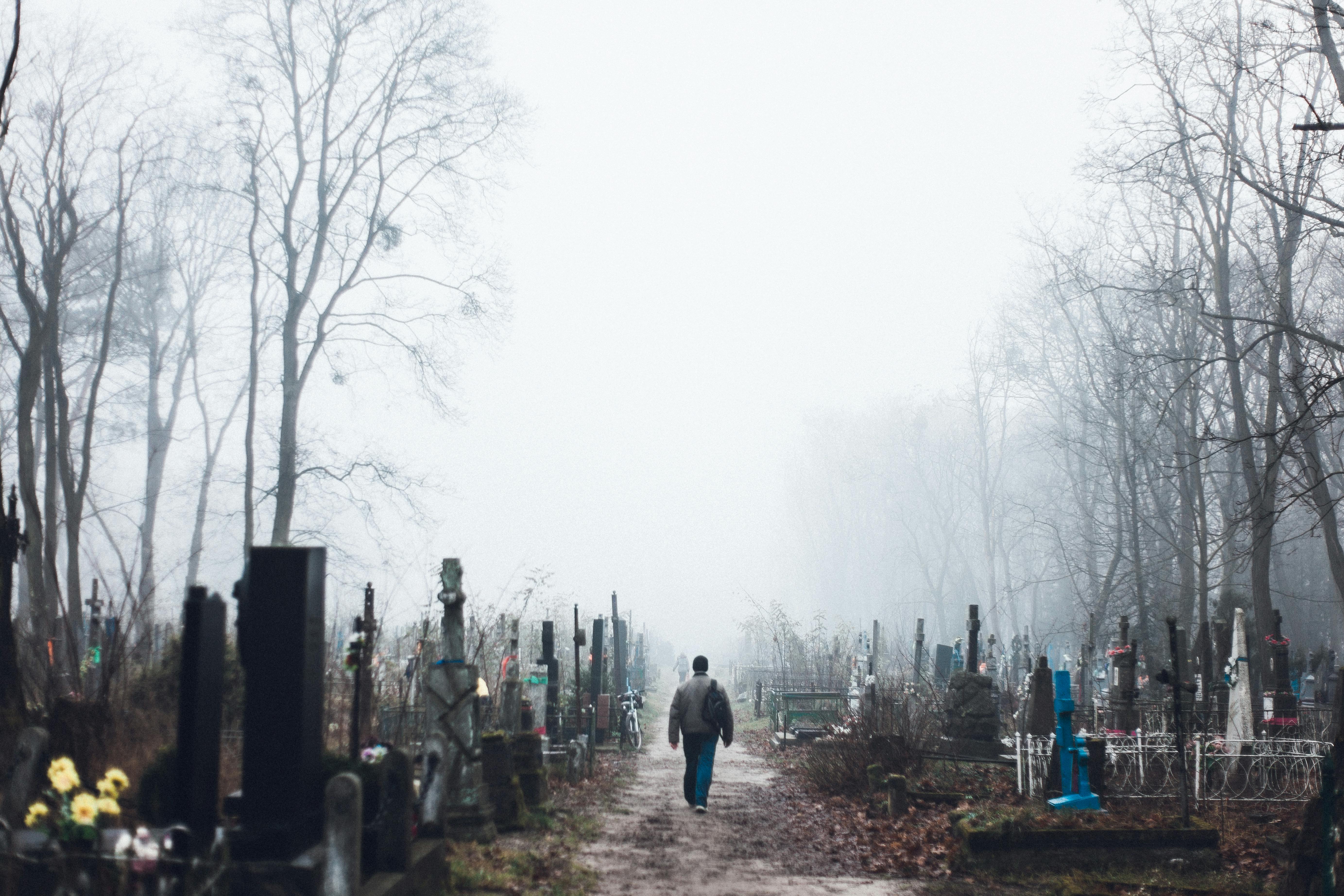 Back View Shot of a Man Walking in the Cemetery · Free Stock Photo