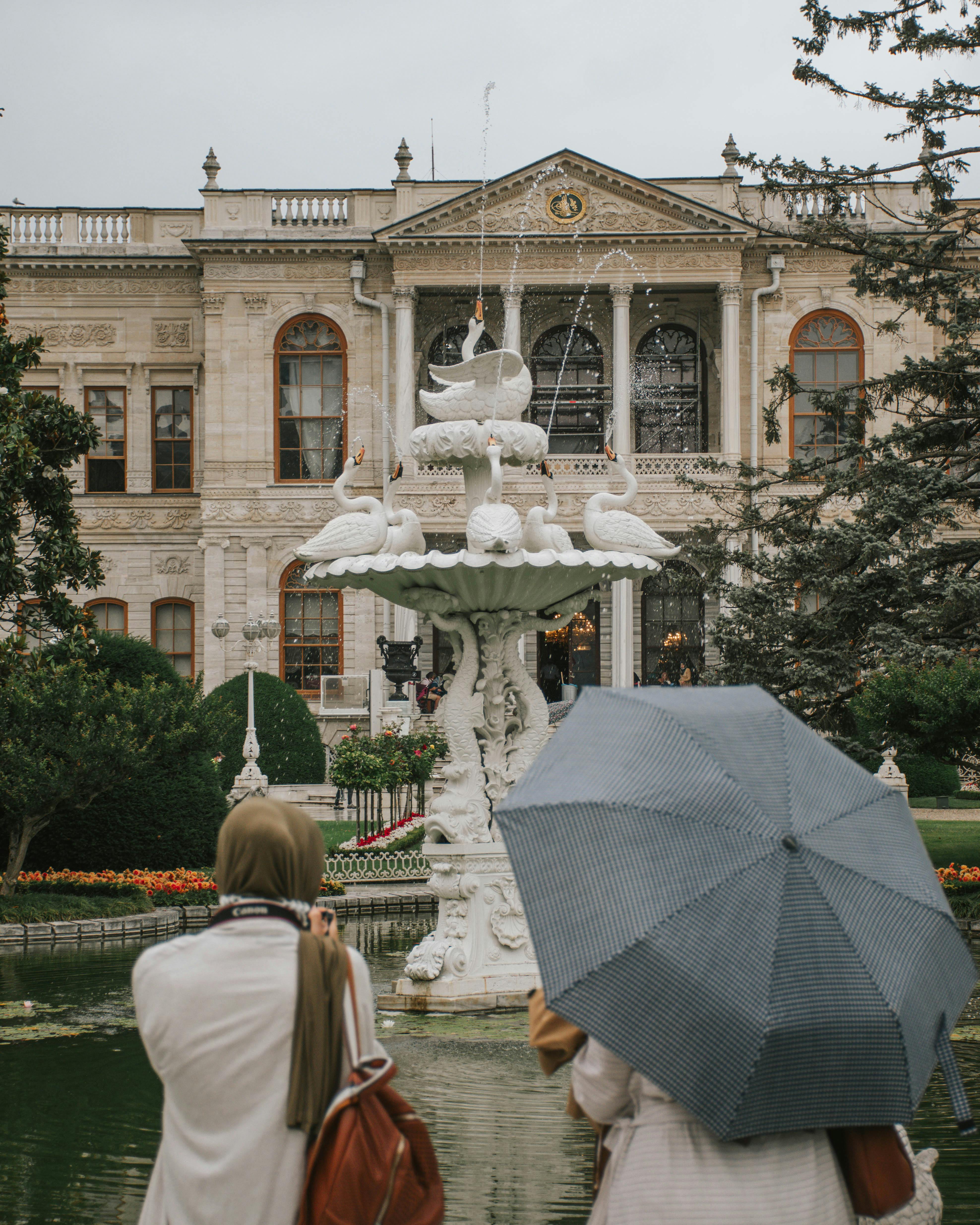 Swan Designs Photos, Download The BEST Free Swan Designs Stock Photos ...