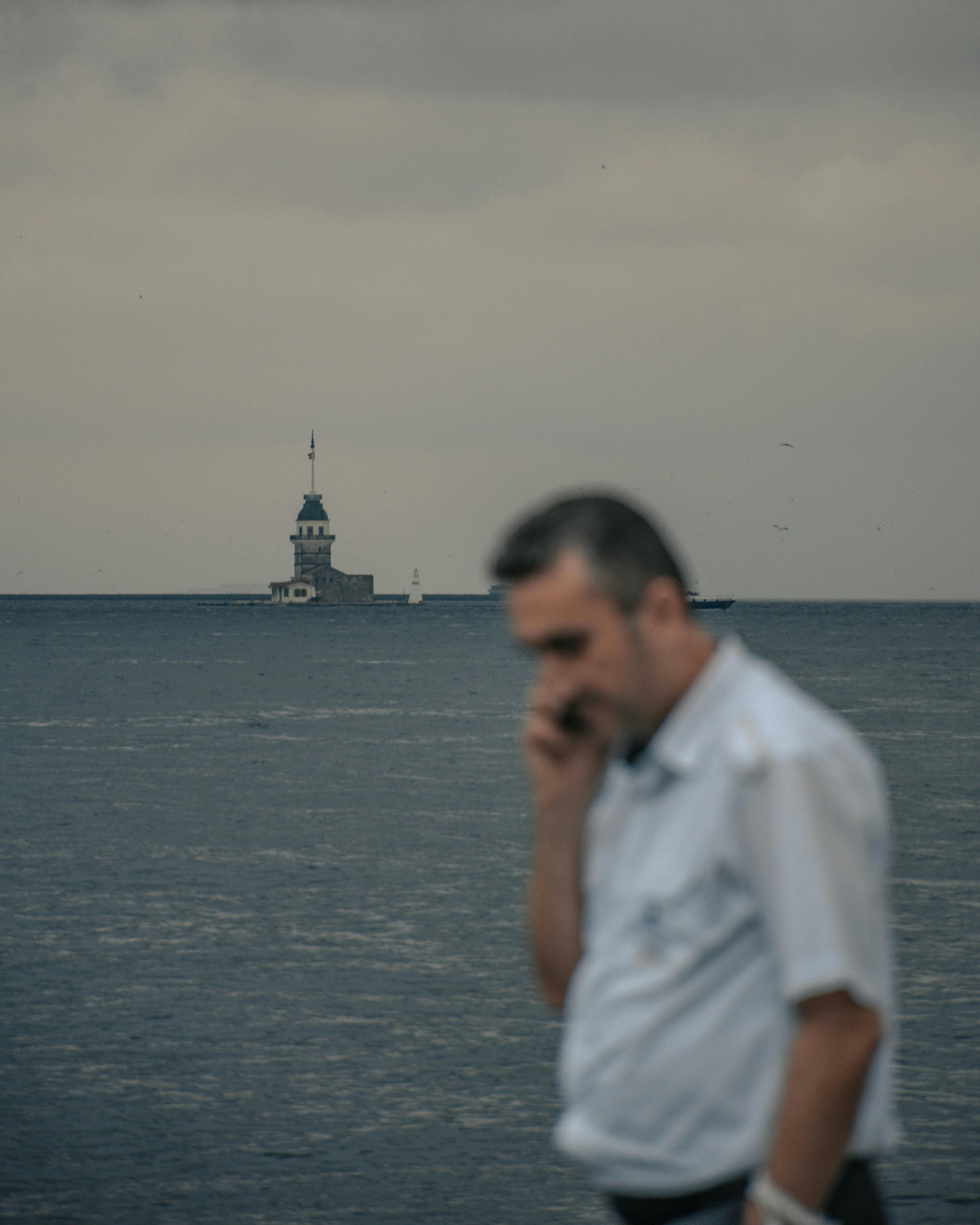 Sea Call Photos, Download The BEST Free Sea Call Stock Photos & HD Images