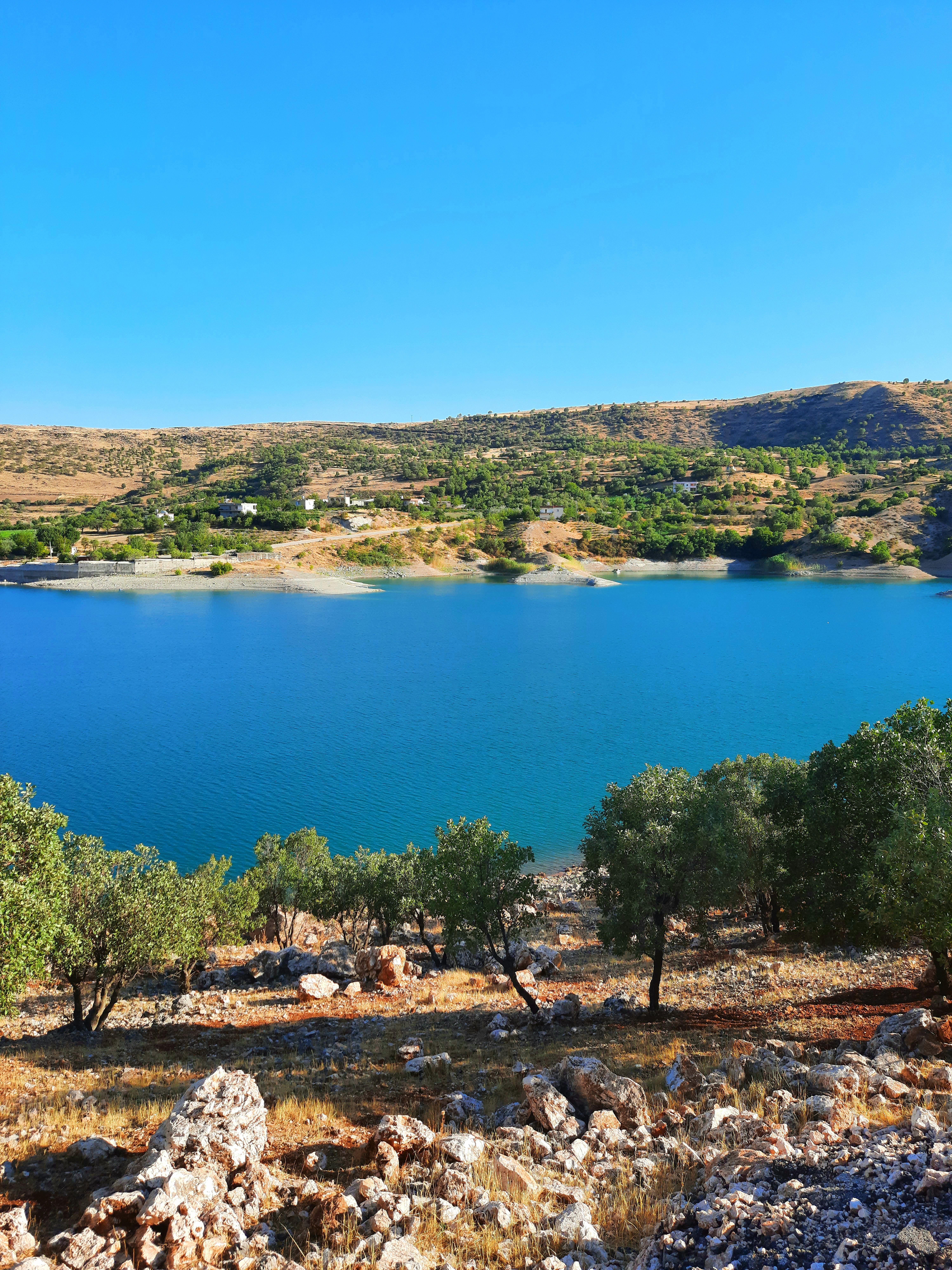 Landscape with Small Bushes and Blue Lake · Free Stock Photo