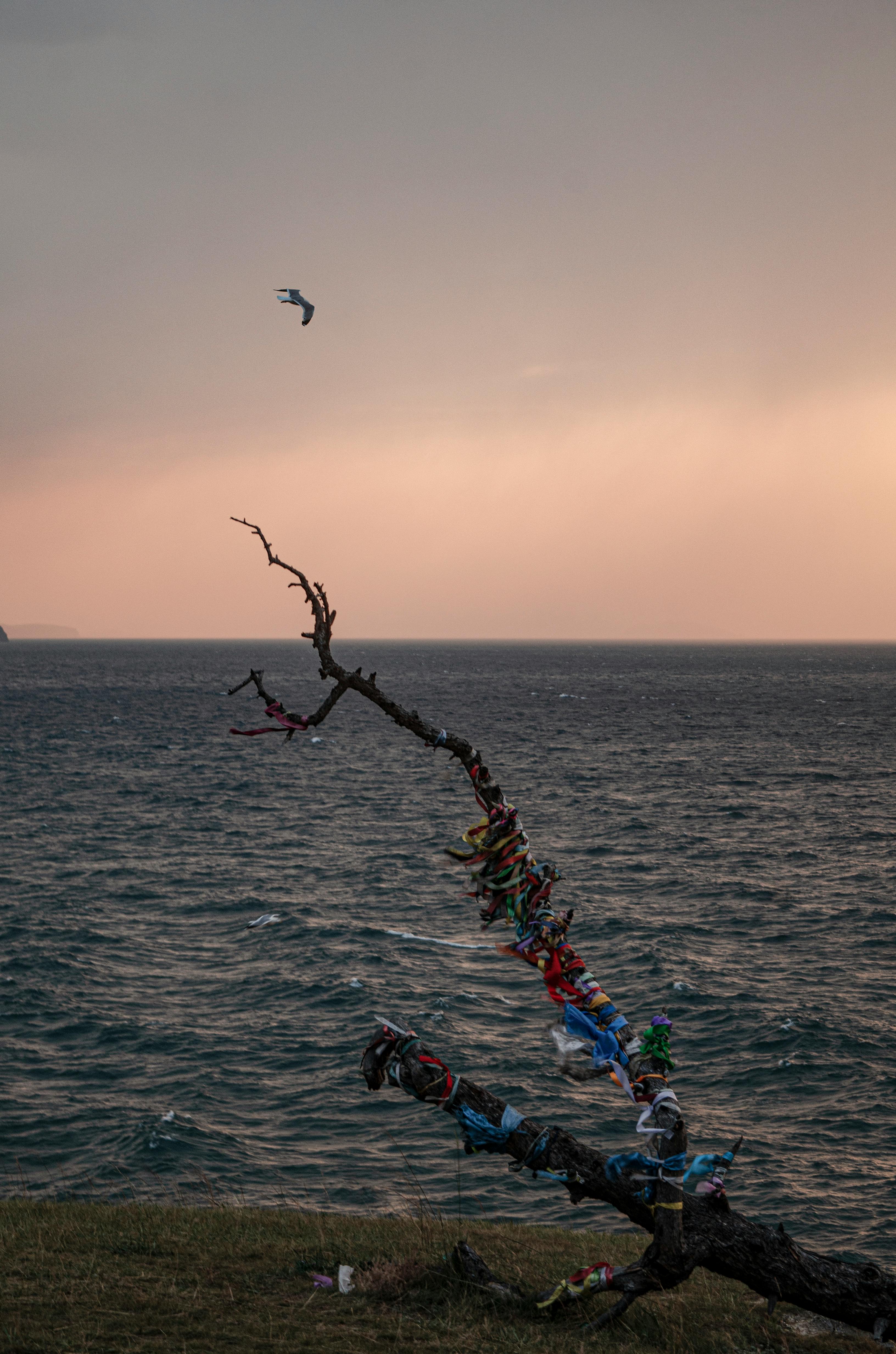 Flying Ribbons Photos, Download The BEST Free Flying Ribbons Stock ...