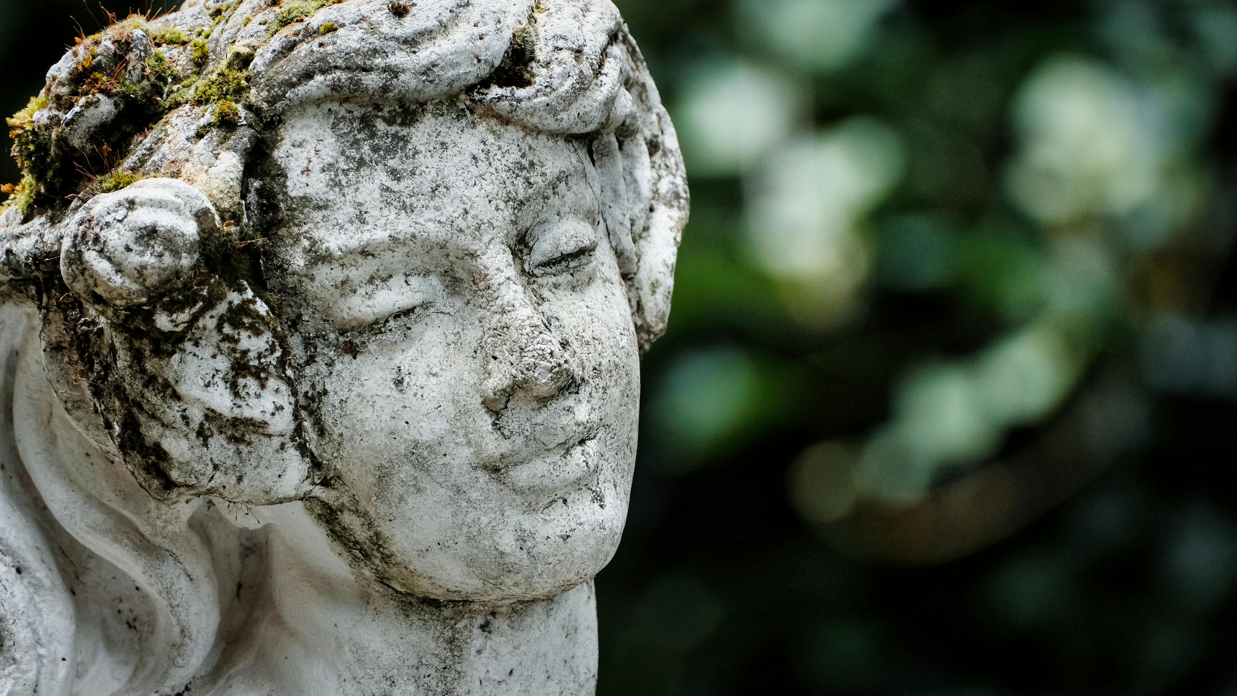 Mossy Statue Photos, Download The BEST Free Mossy Statue Stock Photos ...