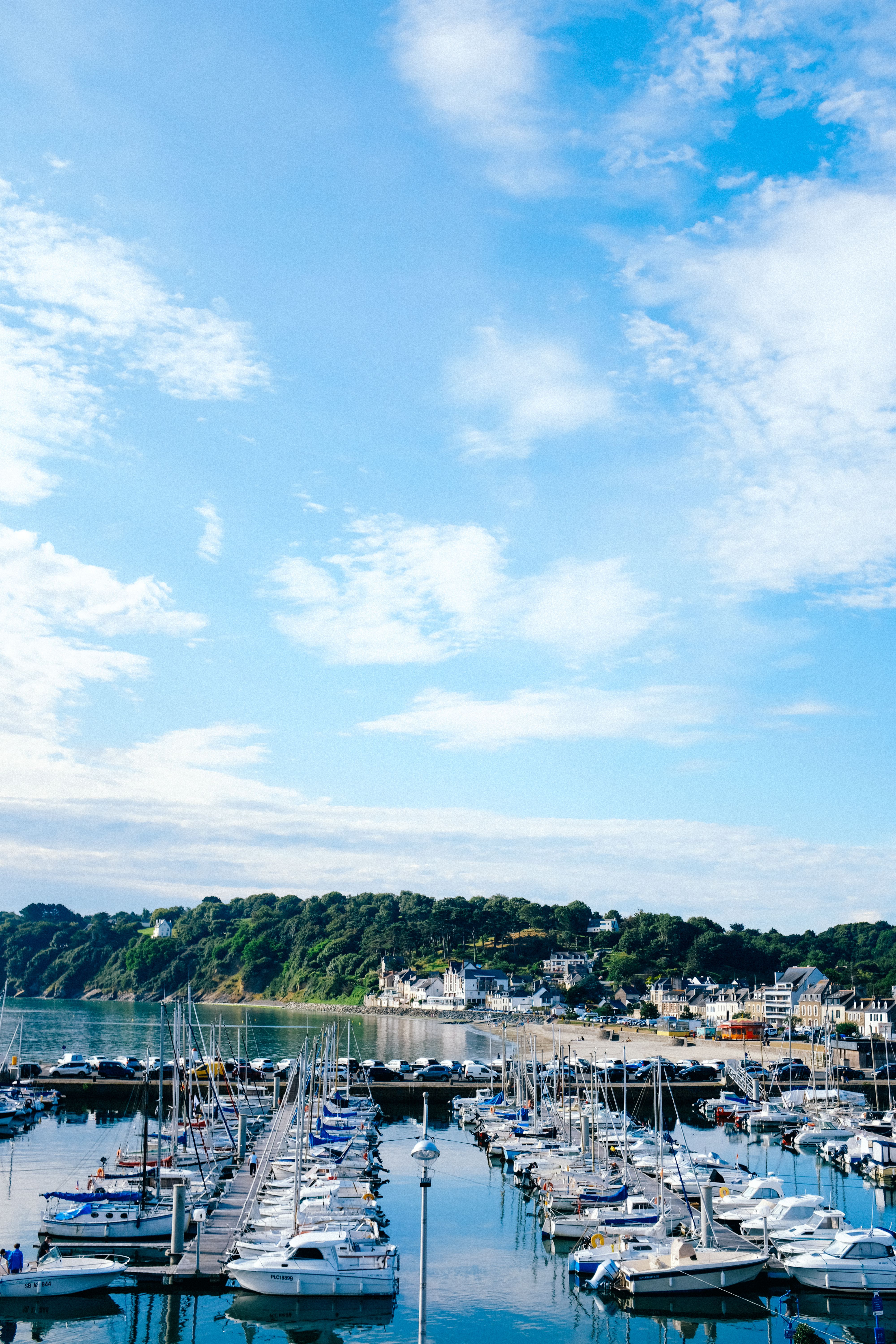 Yachts and Boats in the Harbour · Free Stock Photo
