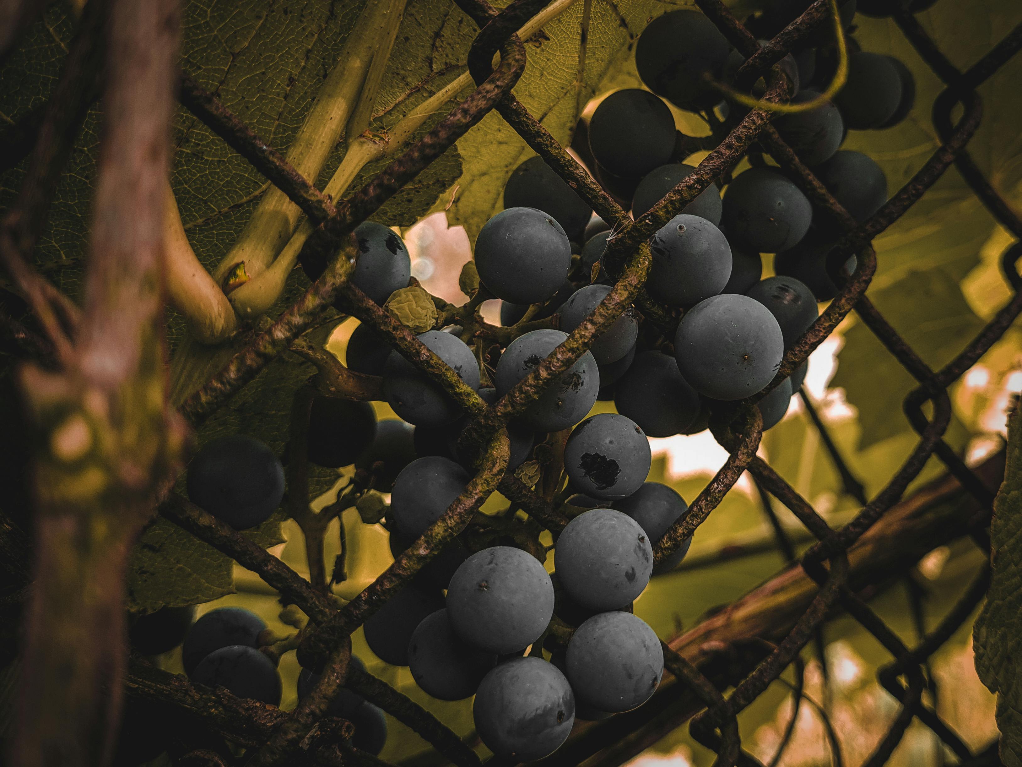 30+ Best August Photos · 100% Free Download · Pexels Stock Photos