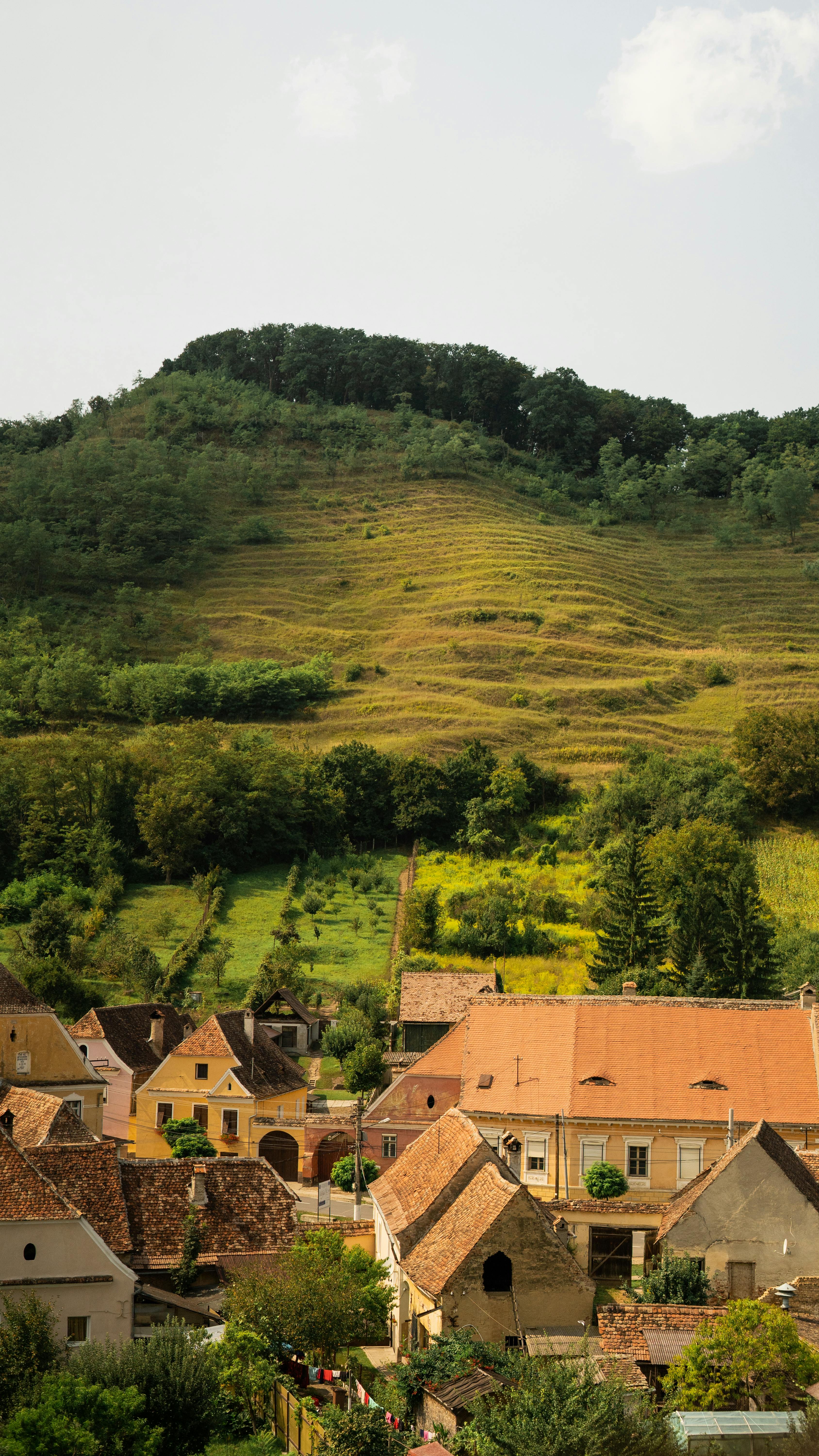 4+ Fotos y Imágenes de Biertamente Gratis · Banco de Fotos Gratis