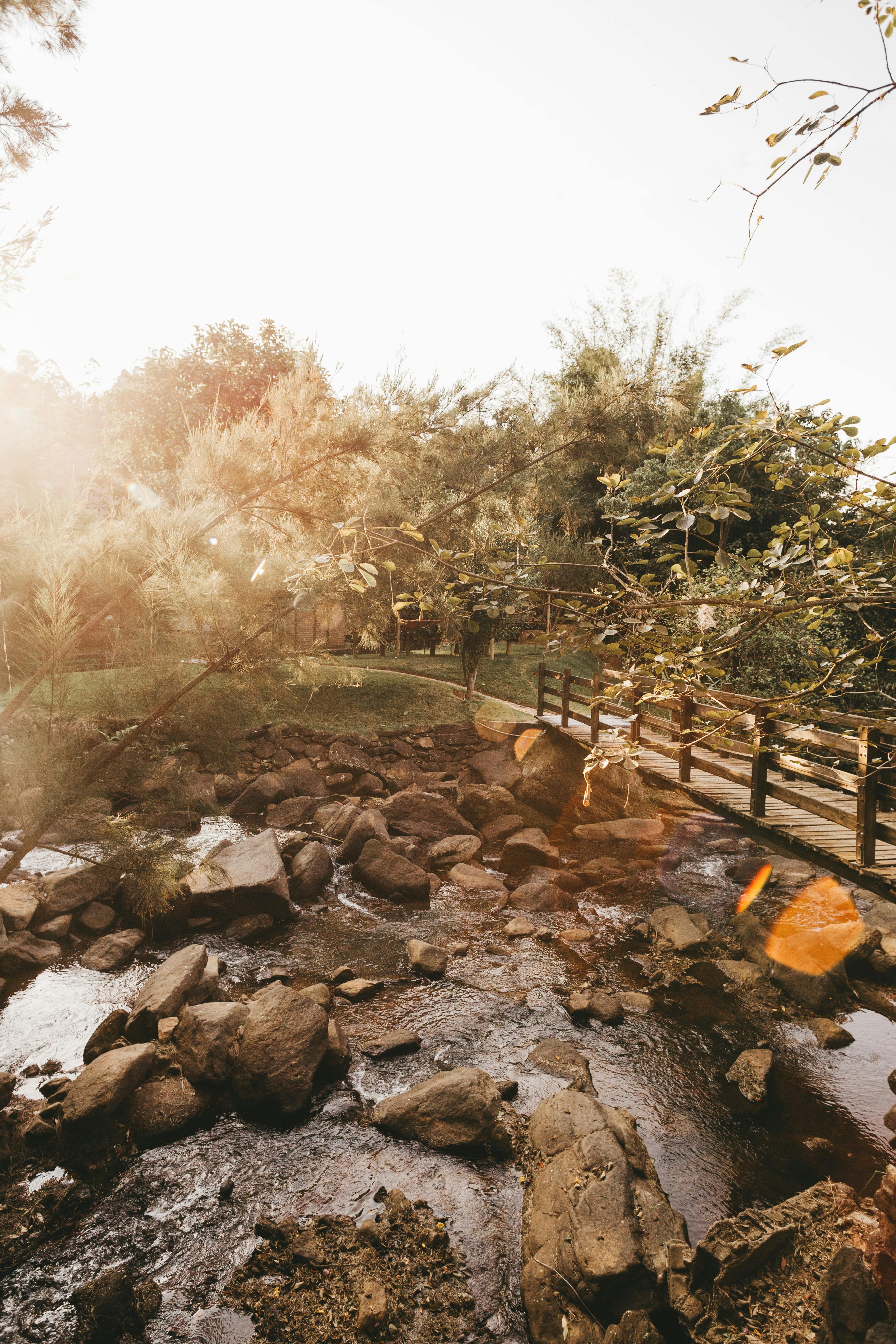 Brown Wooden Bridge over Rocky River · Free Stock Photo
