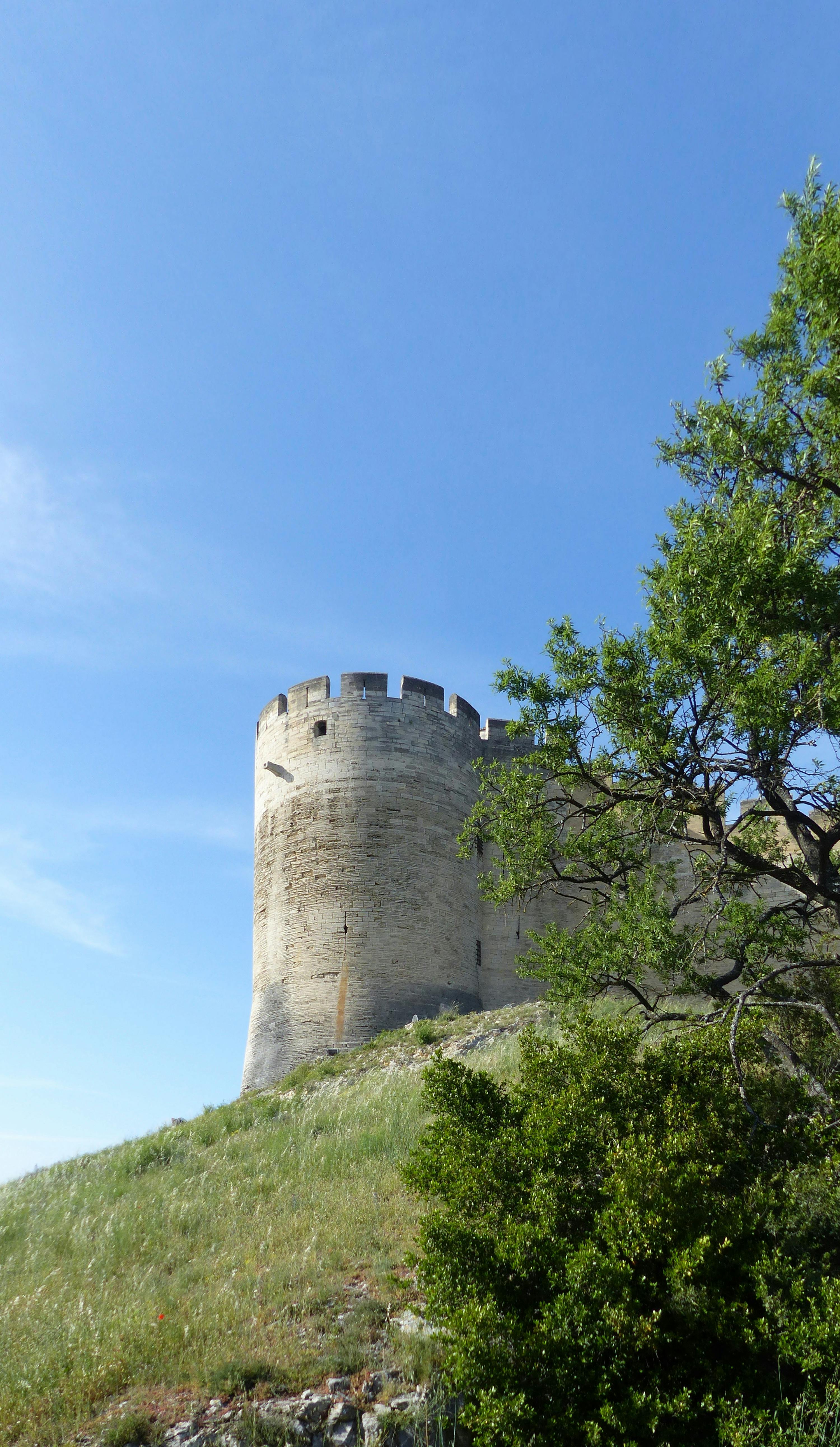 A Concrete Castle on a Grassy Field · Free Stock Photo