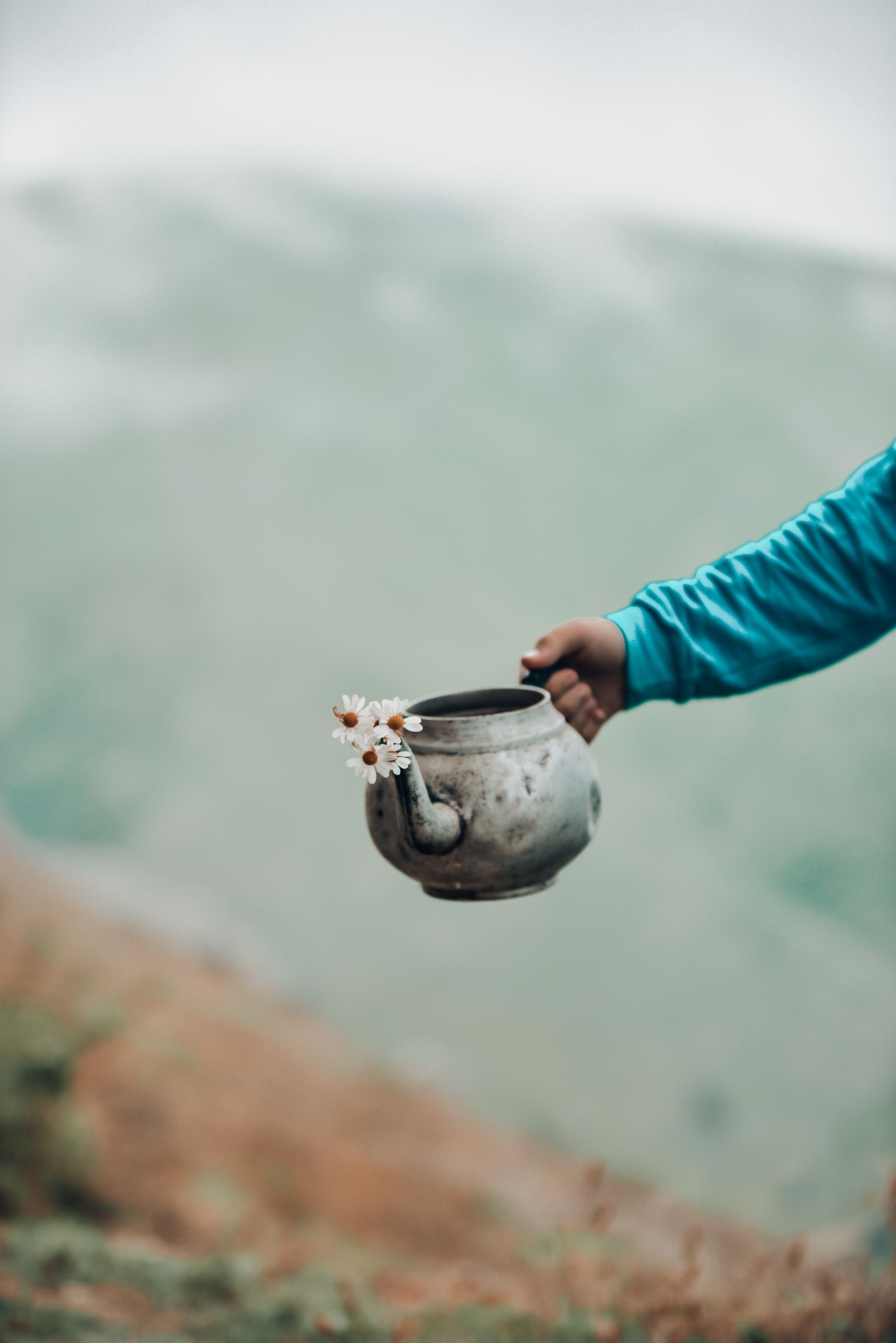 Person Holding a Teapot with Flowers in the Spout · Free Stock Photo