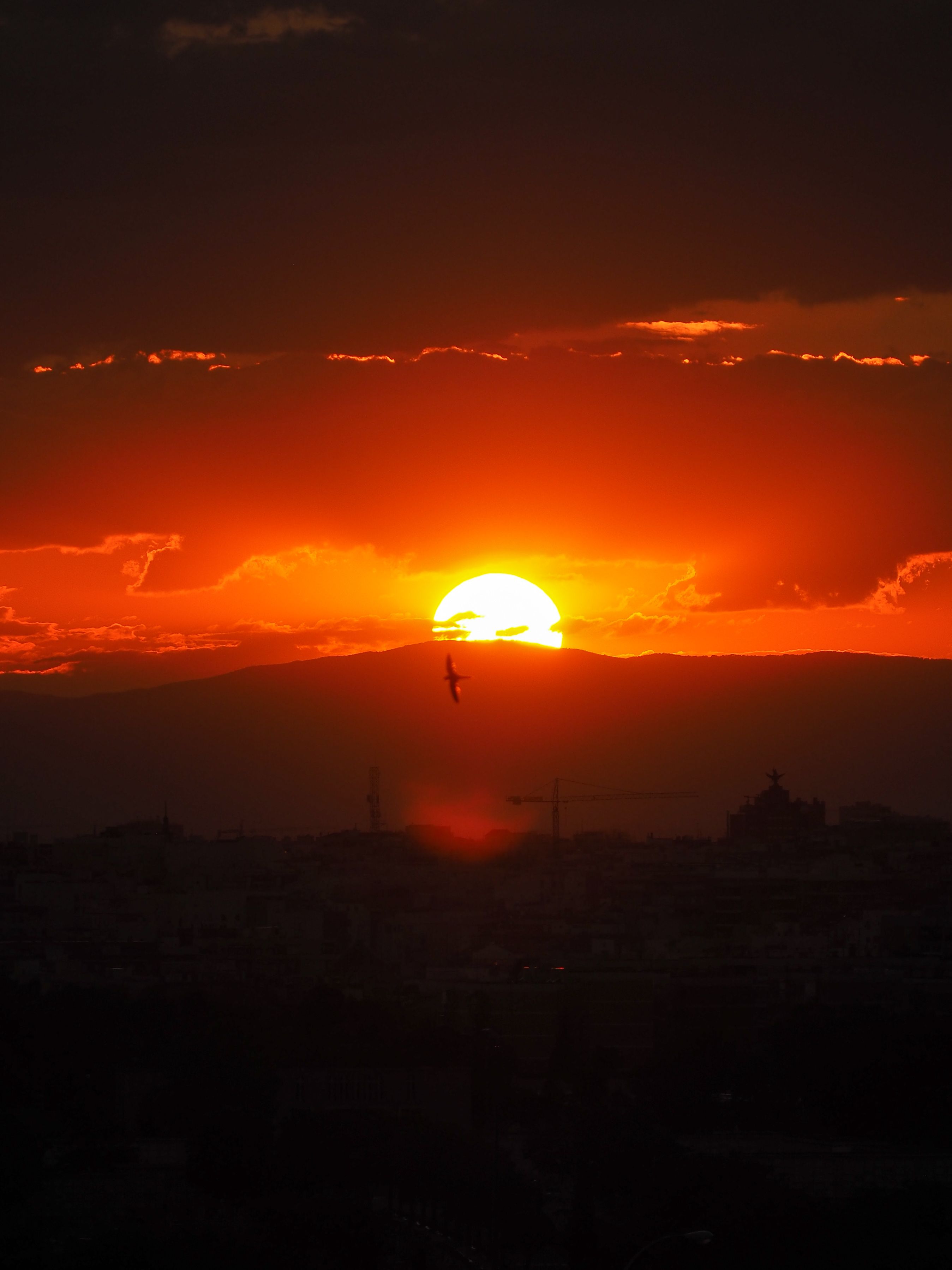 Golden Temp Photos, Download Free Golden Temp Stock Photos & HD Images
