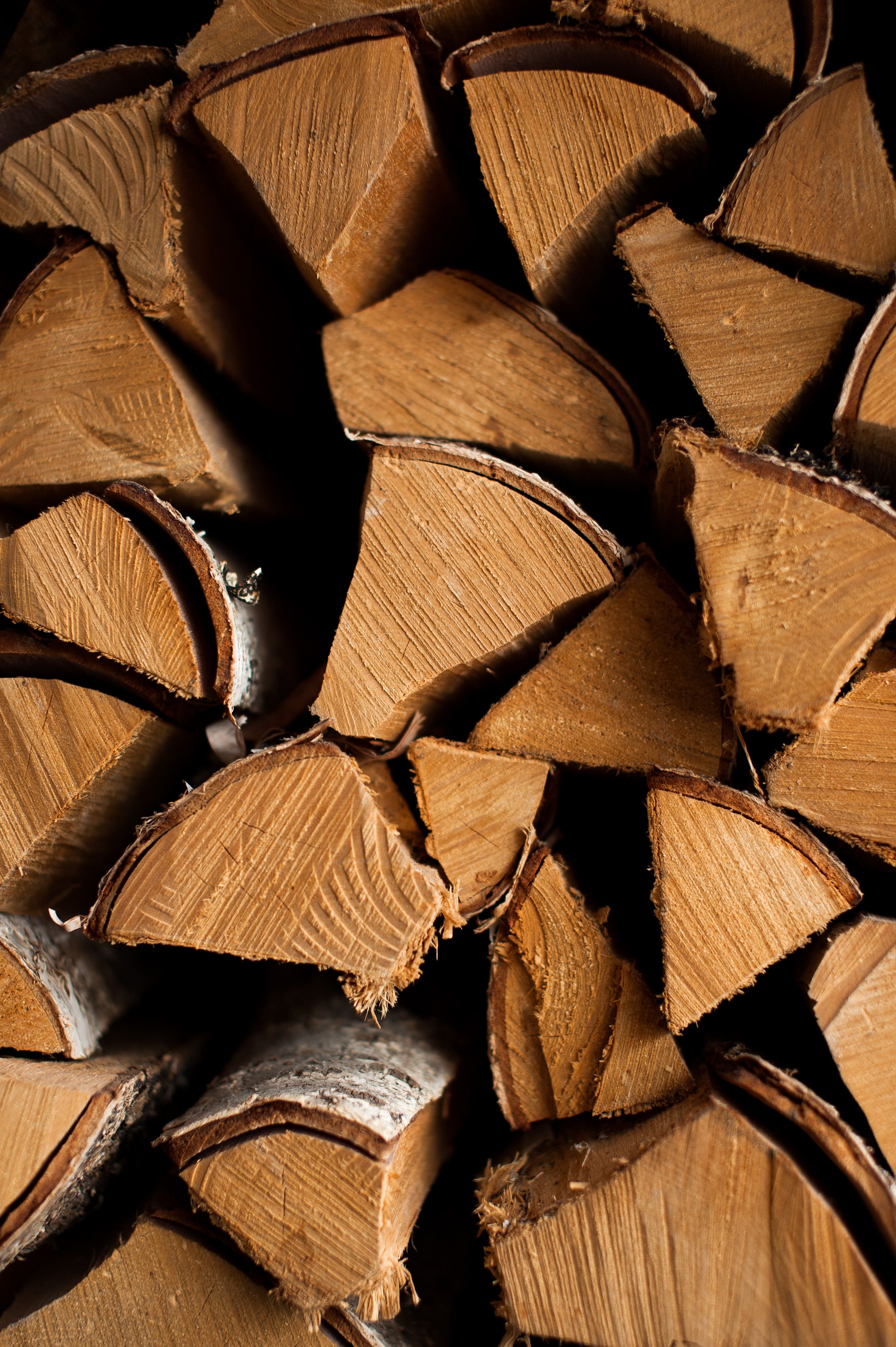 A Person Picking Firewood from a Pile · Free Stock Photo