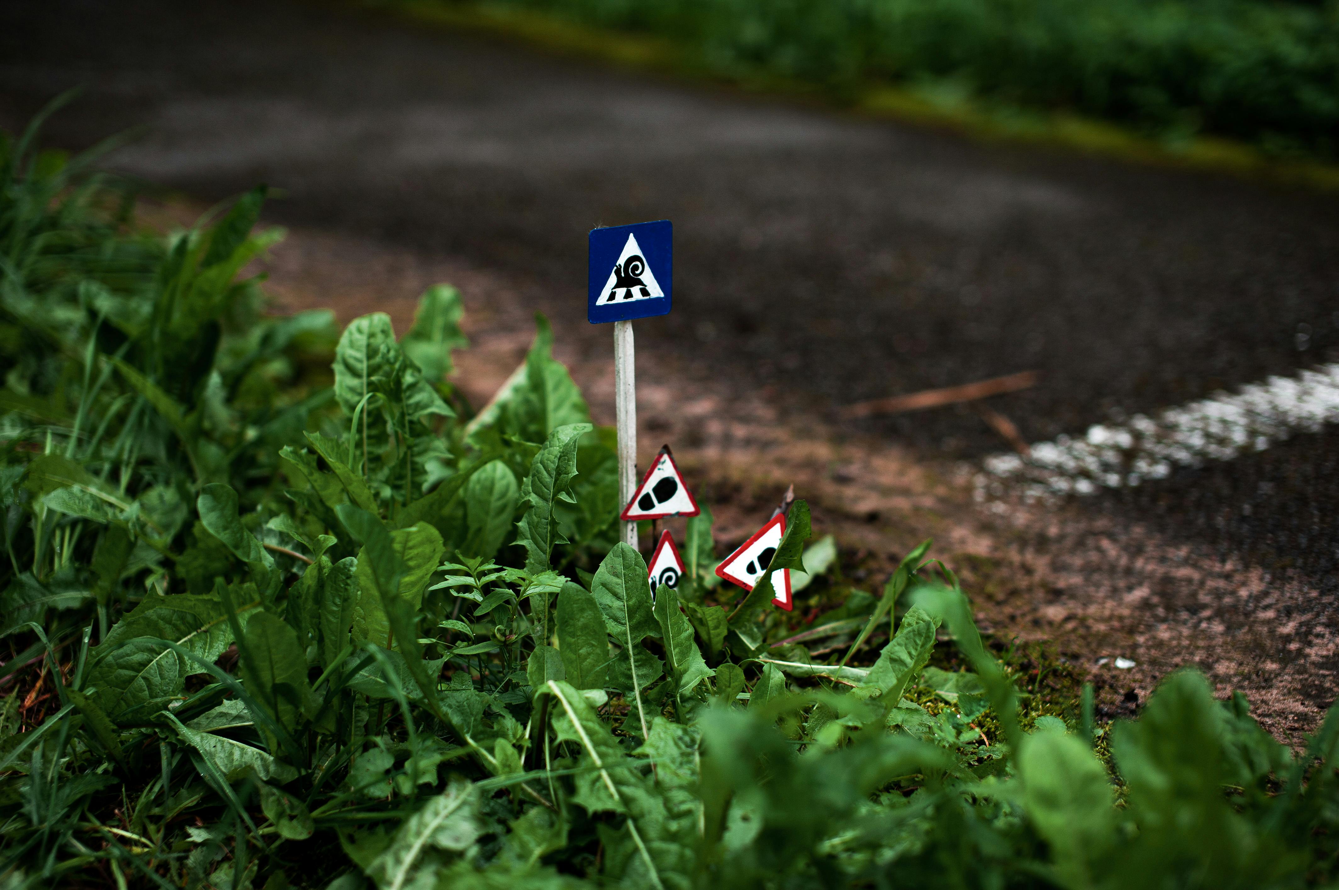 Miniature Road Signs · Free Stock Photo