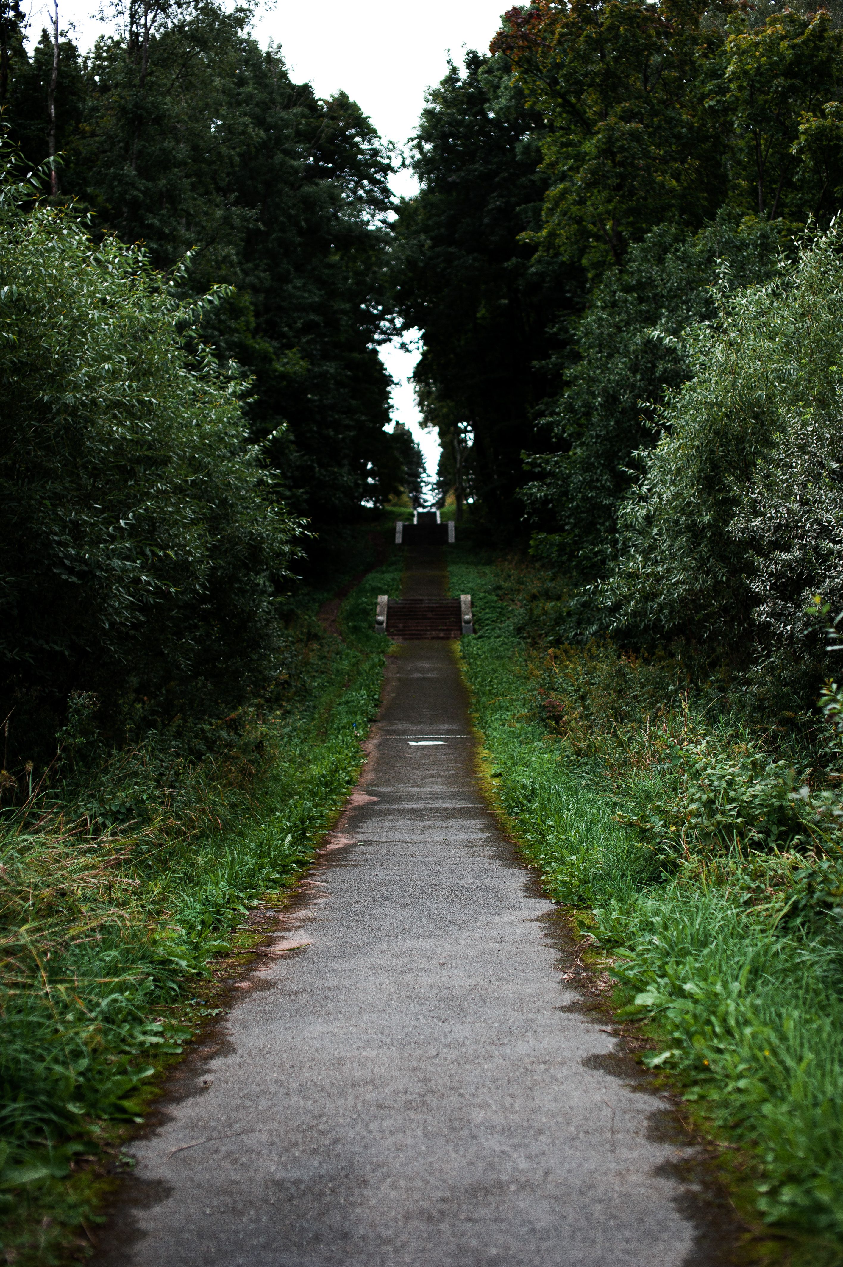 Foothpath in Between Grasses · Free Stock Photo