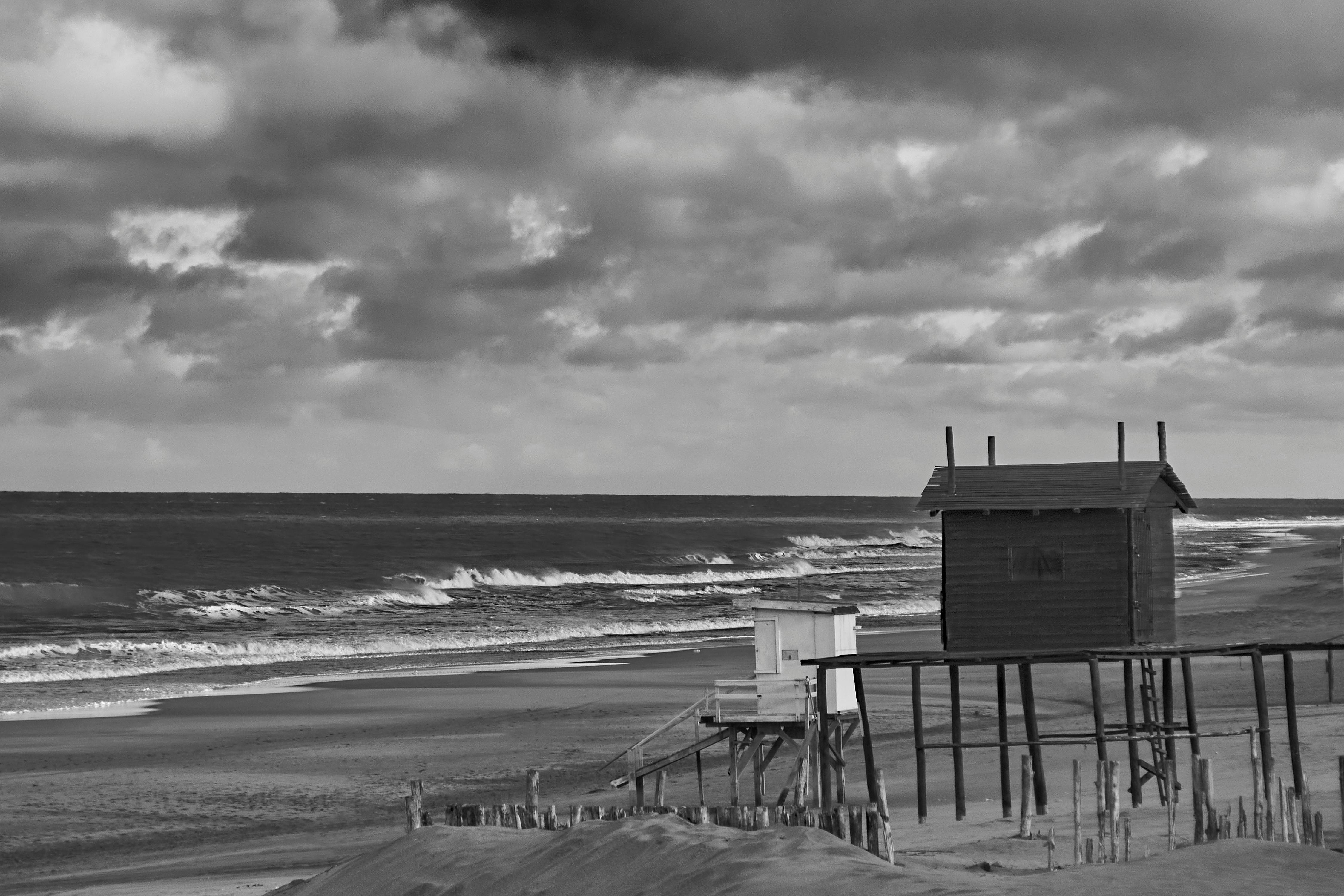 Grayscale Photo of a Beach · Free Stock Photo
