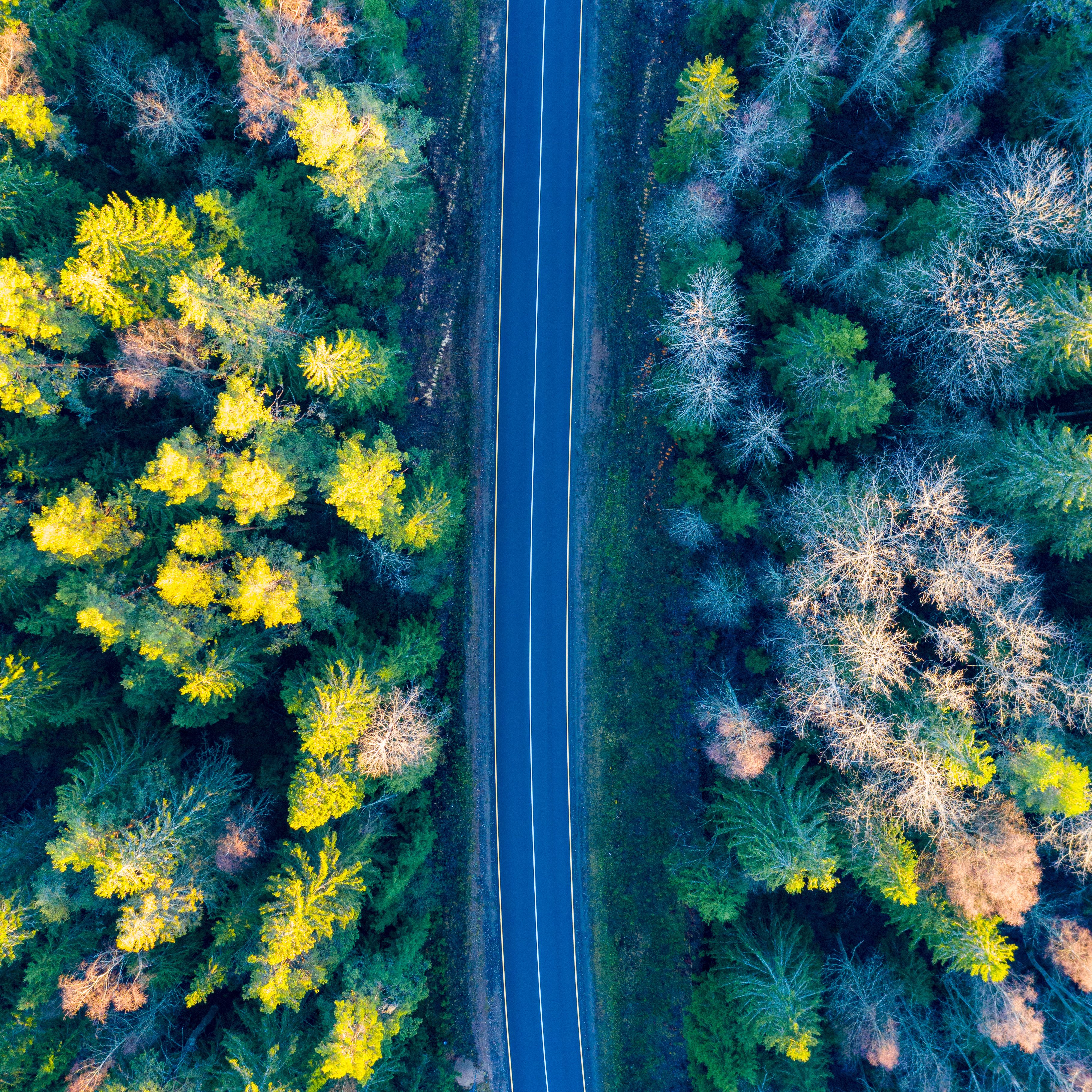 Aerial View of Houses by the River in the Countryside · Free Stock Photo